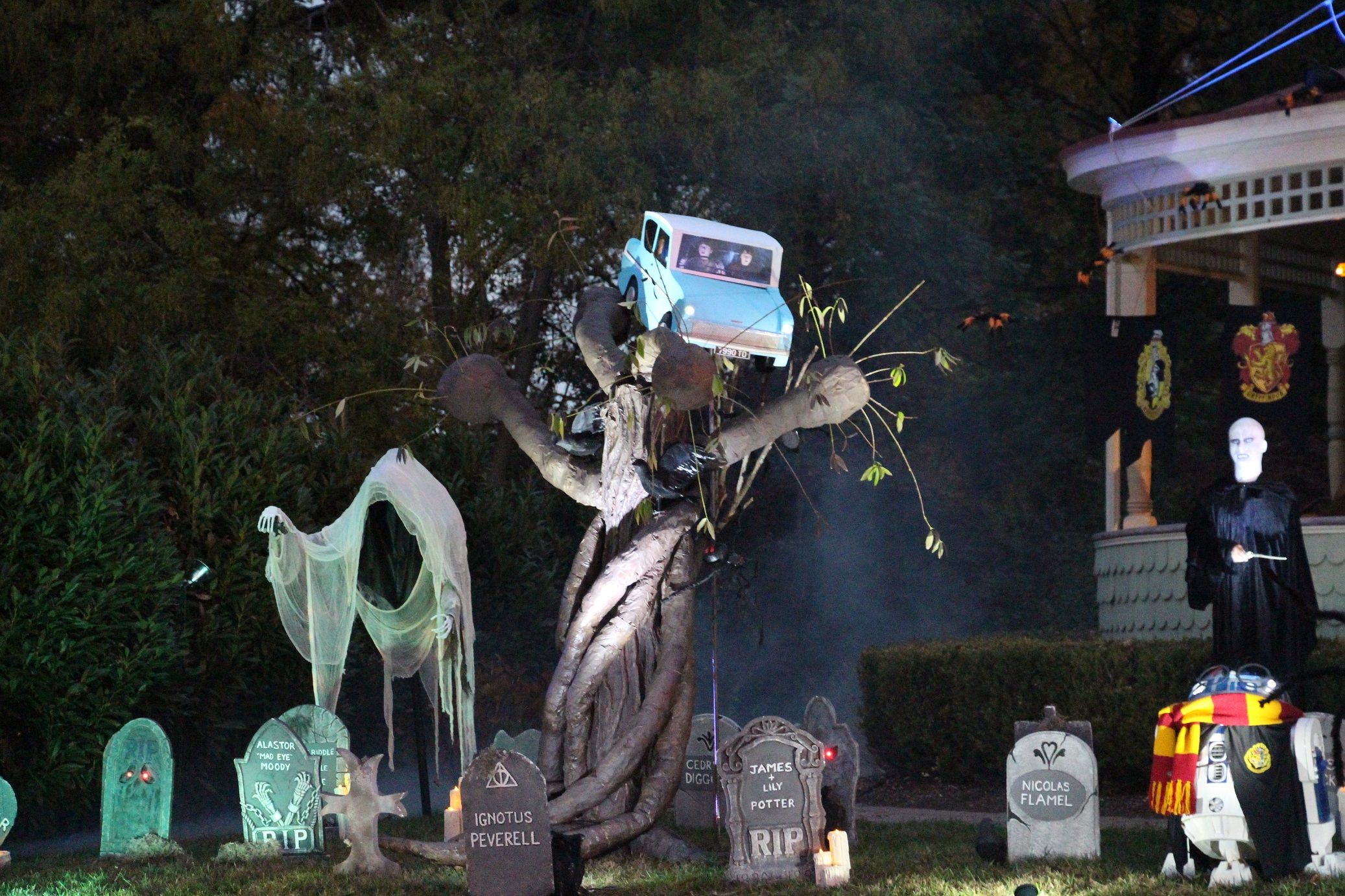 From Apple Tree to Whomping Willow : 6 Steps (with Pictures ...