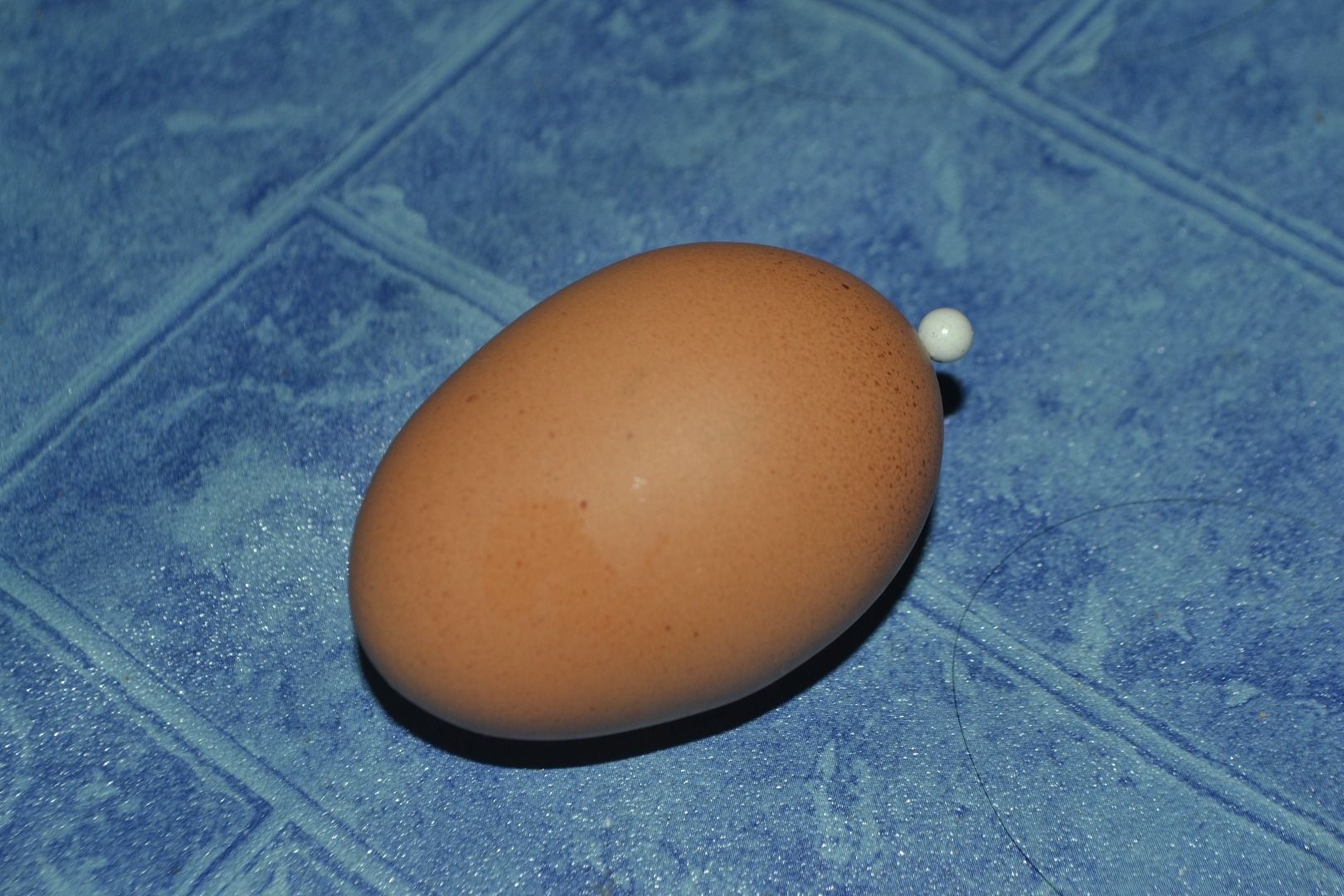 Fortune Eggs : 7 Steps (with Pictures) - Instructables