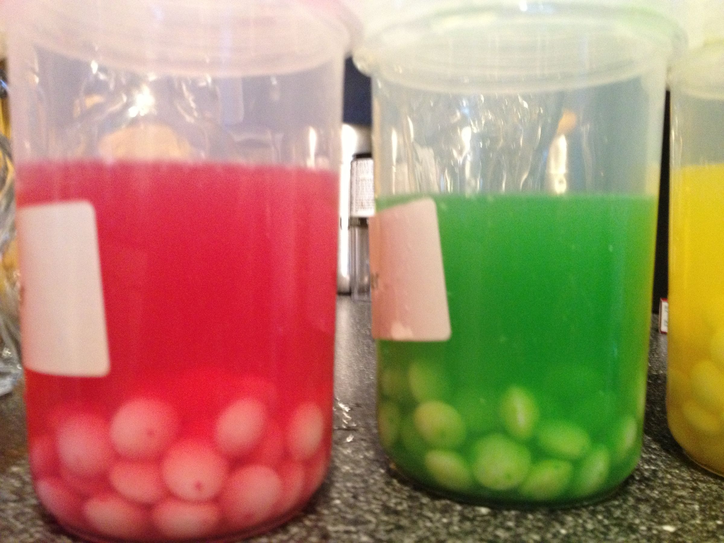 Skittle Vodka "poison" : 6 Steps (with Pictures) - Instructables
