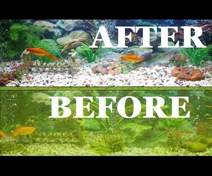 Complete Aquarium Clean / Fish Tank Clean Out - Instructables