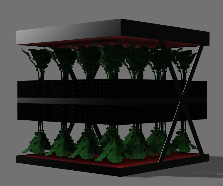My Diary Growing Greens in Space! : 10 Steps - Instructables