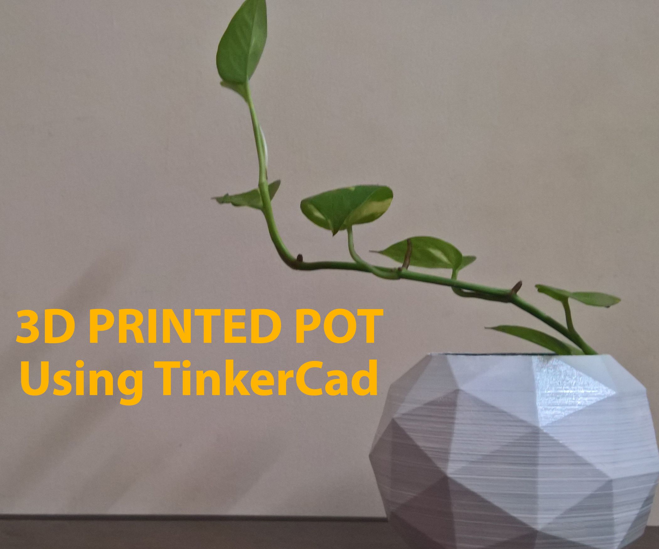 3D Printed Pot Using TinkerCad : 4 Steps - Instructables