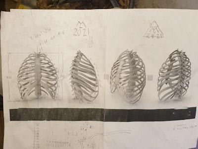 Handmade Wooden Ribcage : 8 Steps (with Pictures) - Instructables