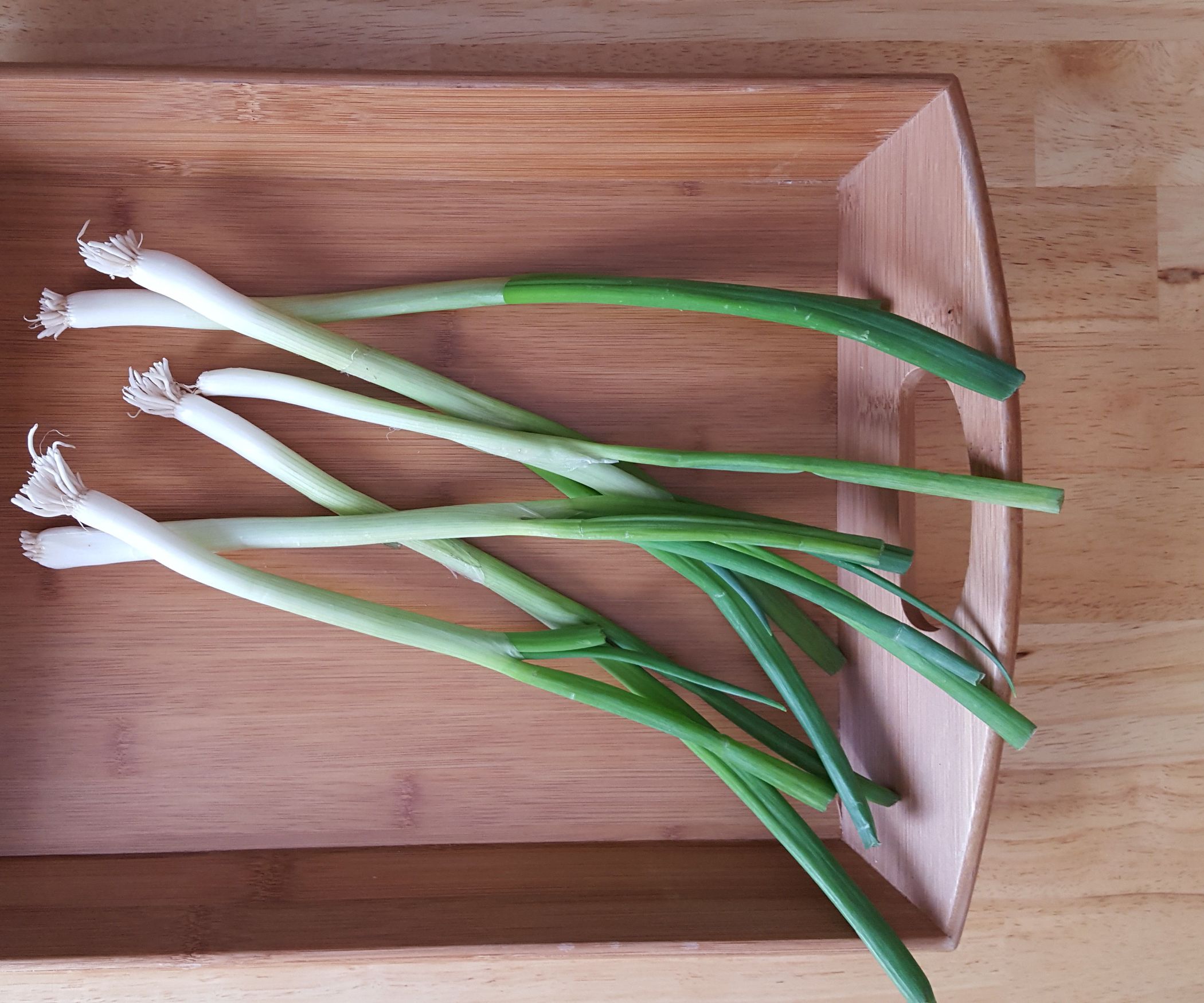 How to Regrow Green Onions : 4 Steps (with Pictures) - Instructables