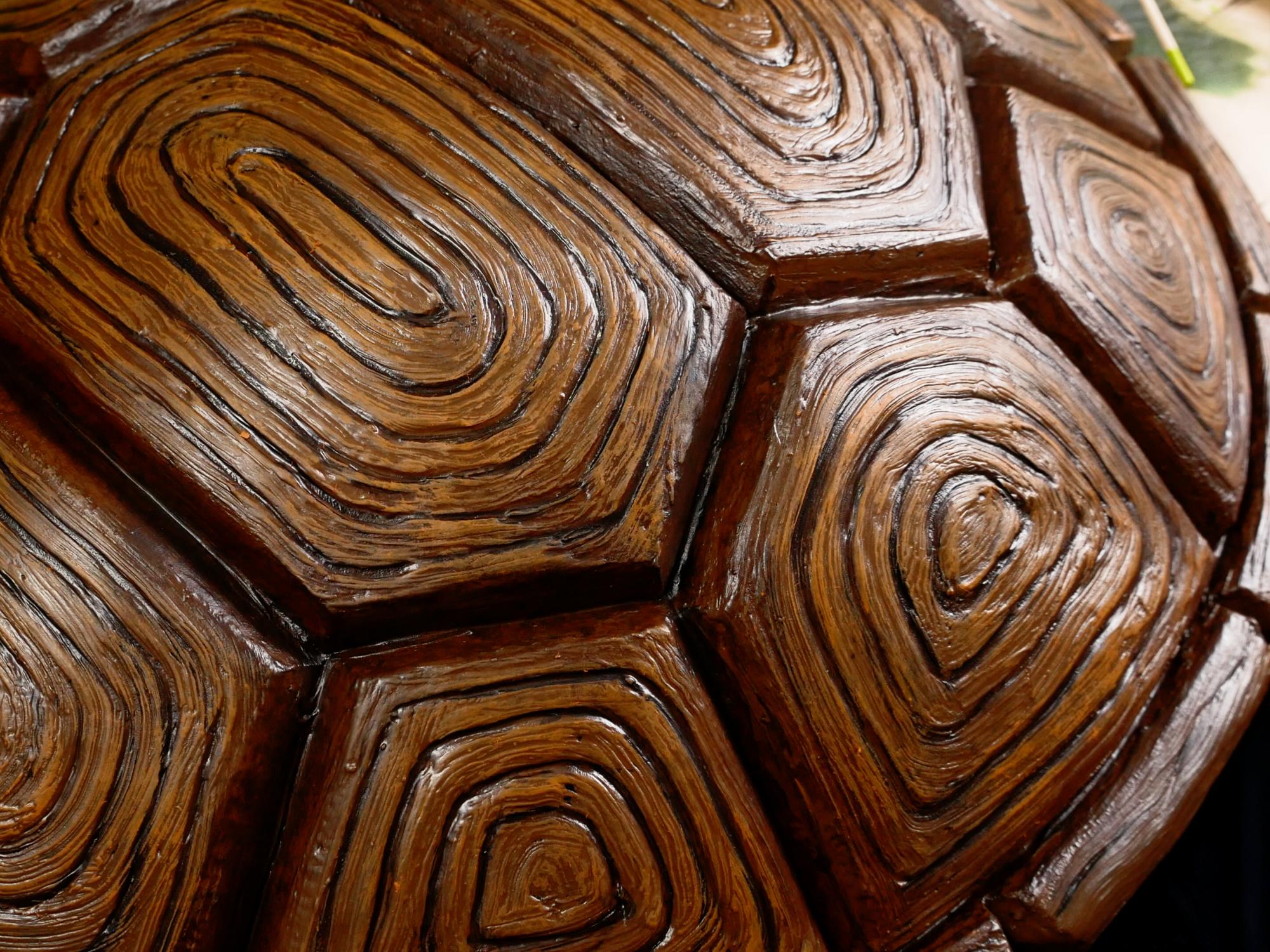 DIY Turtle Shell From a Foam Mat! : 29 Steps (with Pictures ...