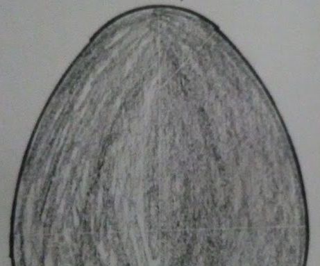 Drawing an Egg With a Compass : 8 Steps - Instructables
