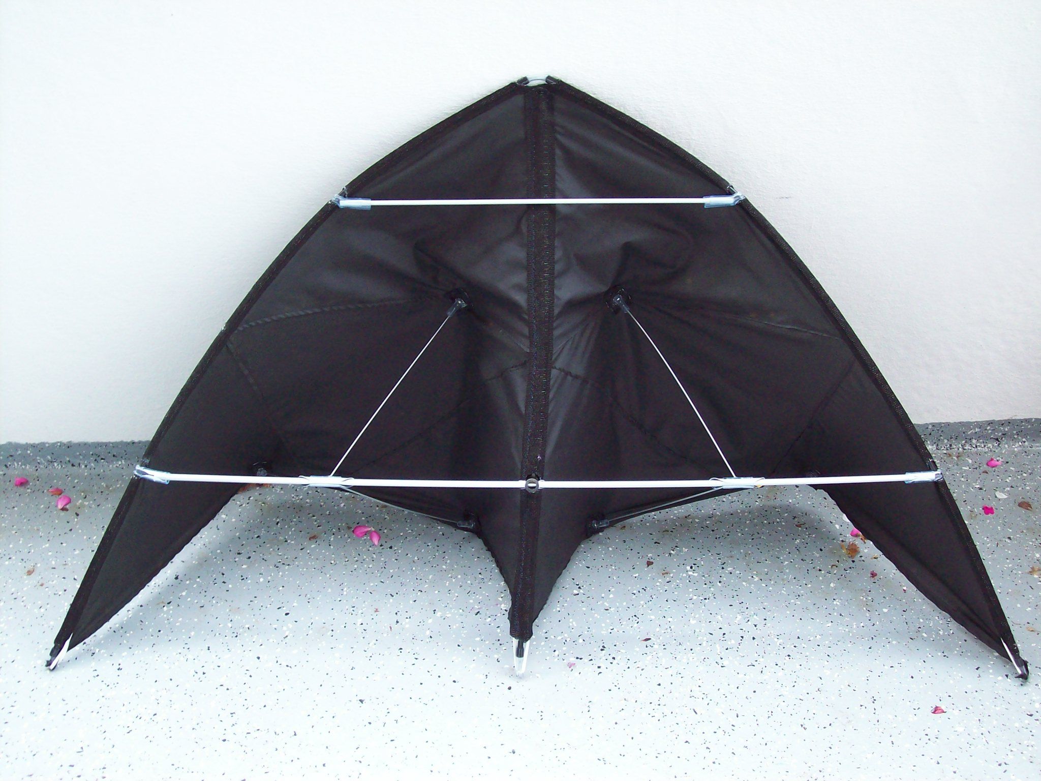 Homemade Delta Kite