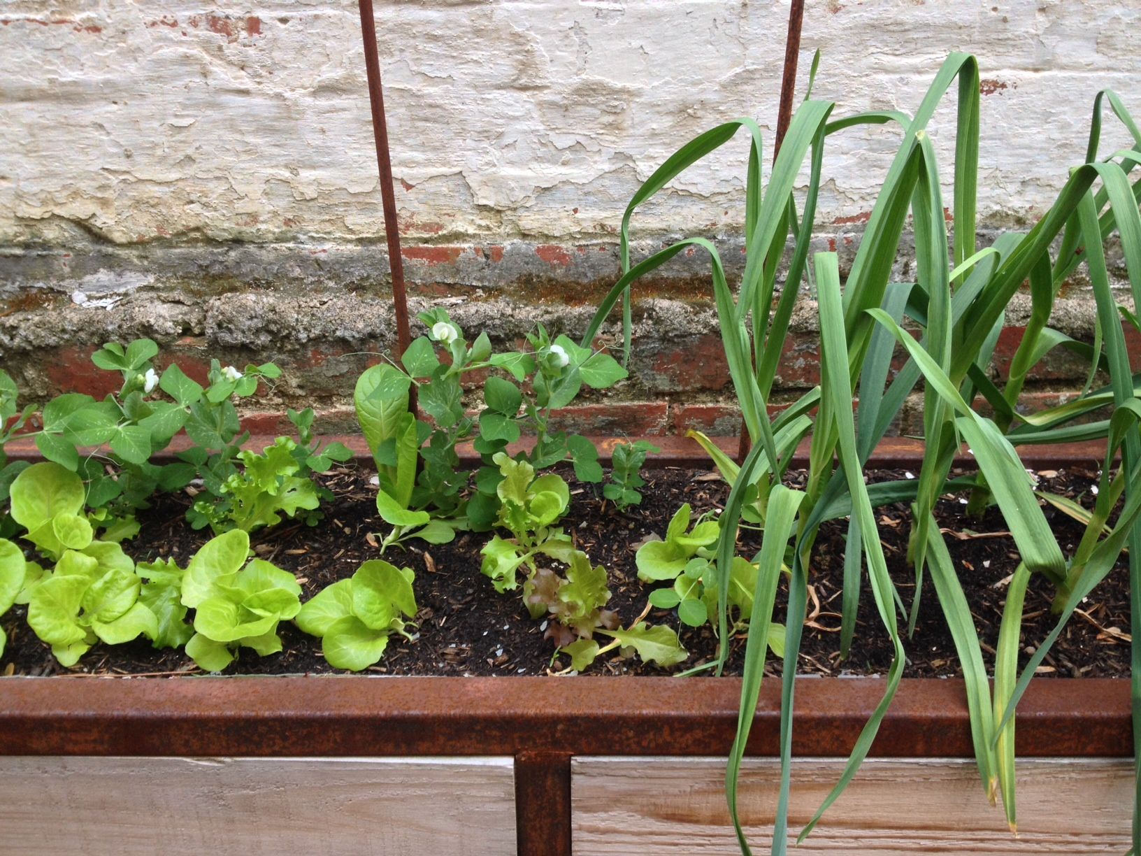 Backyard Planter and Seating : 6 Steps (with Pictures) - Instructables