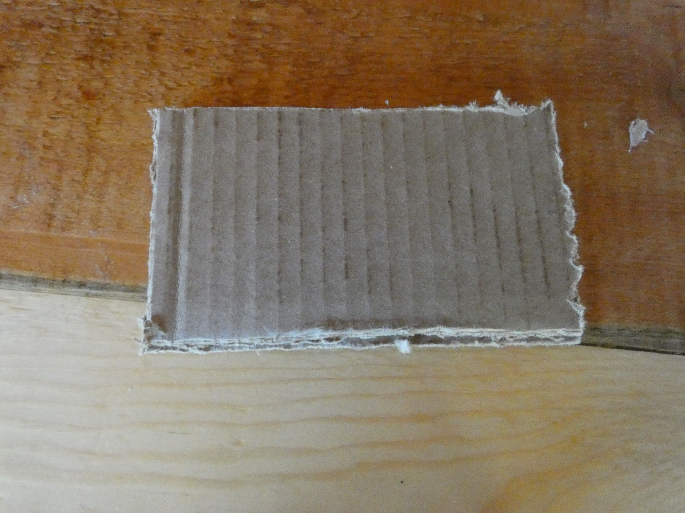 Cardboard Arm Extension : 10 Steps - Instructables