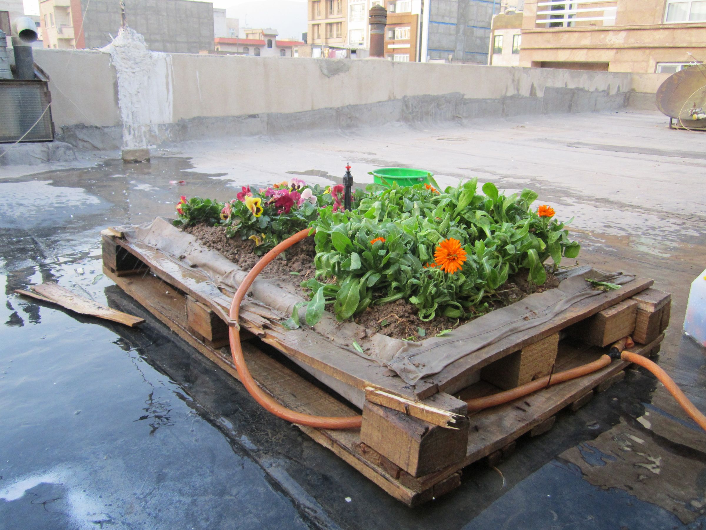 Flower-roof : 3 Steps (with Pictures) - Instructables