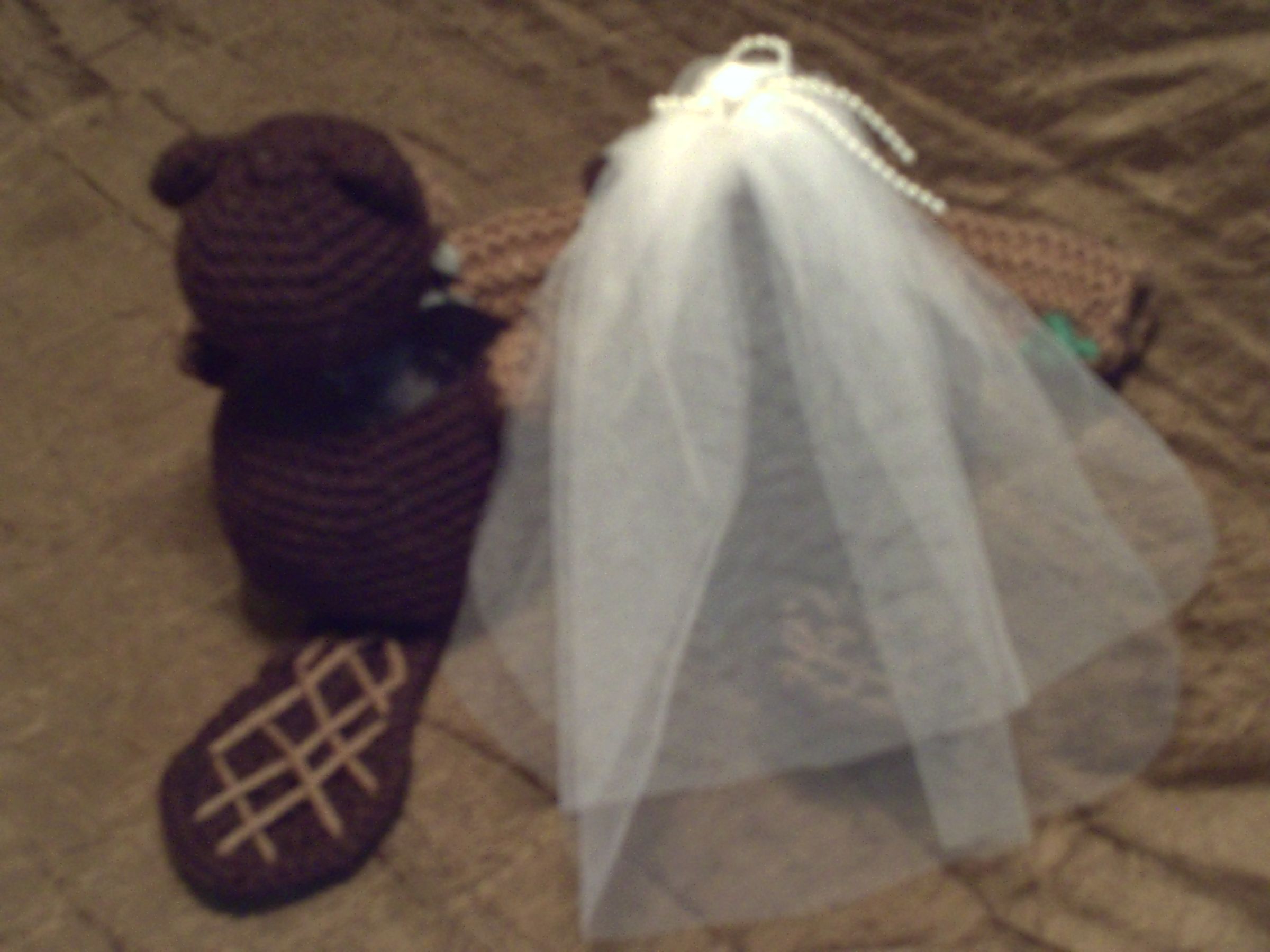 Beaver Marriage - Instructables