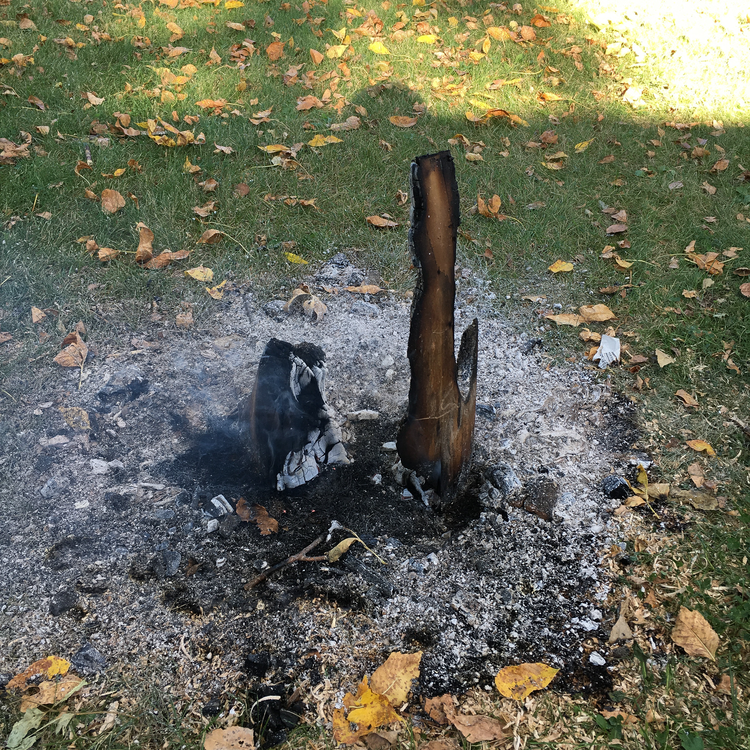 How to Make a Swedish Fire Torch : 4 Steps (with Pictures) - Instructables