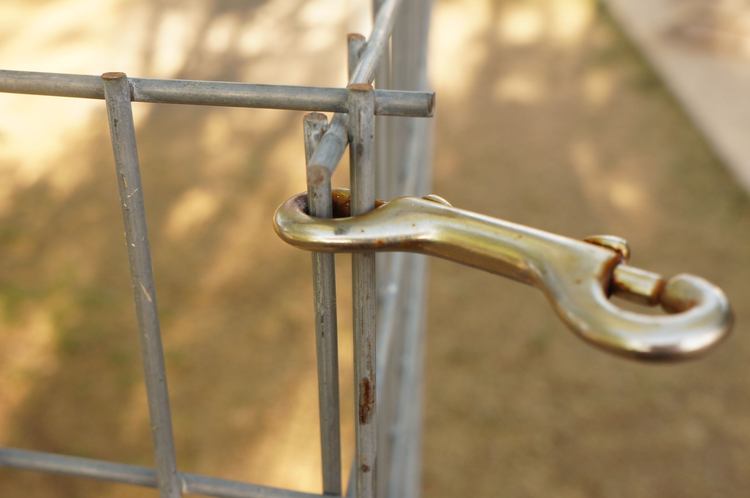 Cheap Easy Dog Run to Build : 6 Steps - Instructables