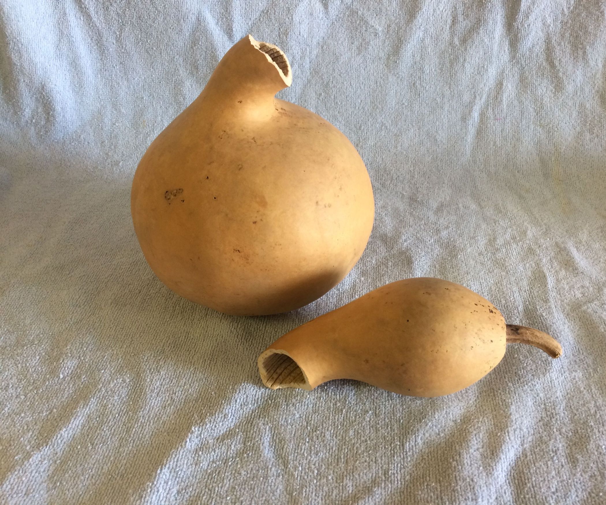 Broken Gourd Recovery : 7 Steps (with Pictures) - Instructables