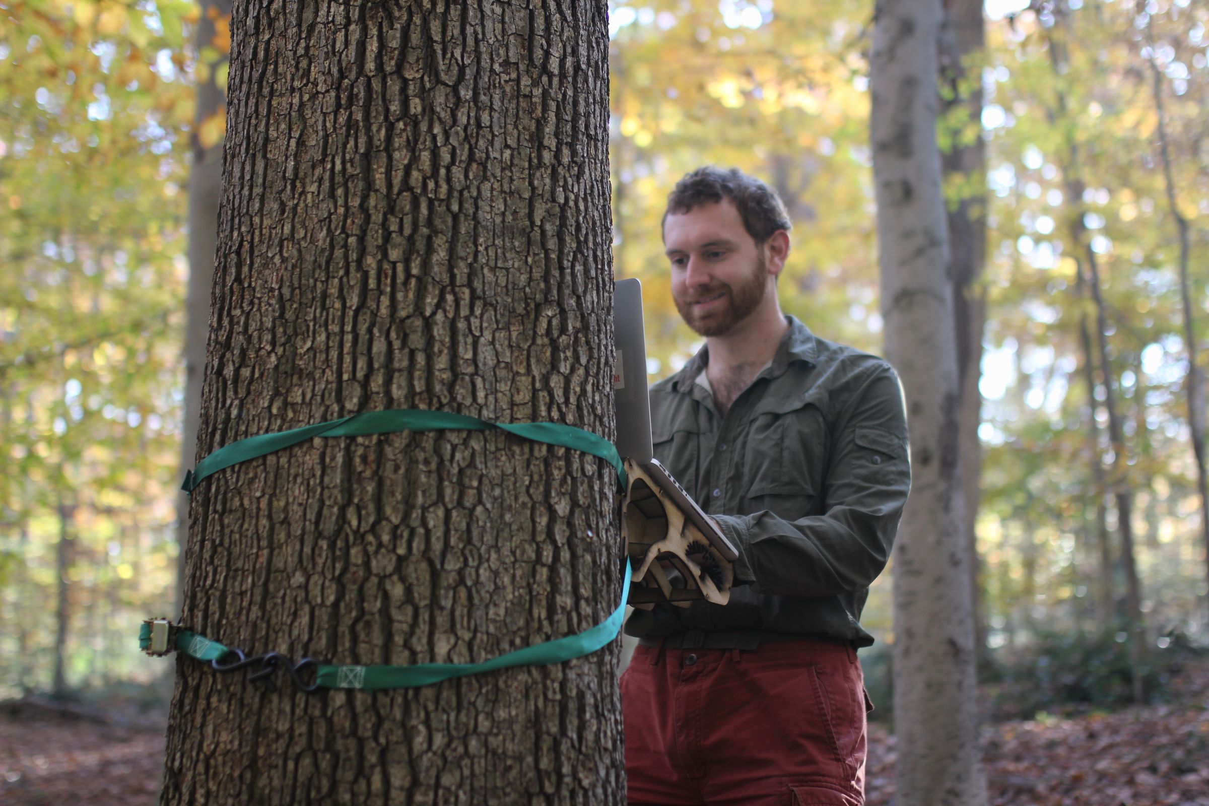 Standing Tree Desk : 5 Steps (with Pictures) - Instructables