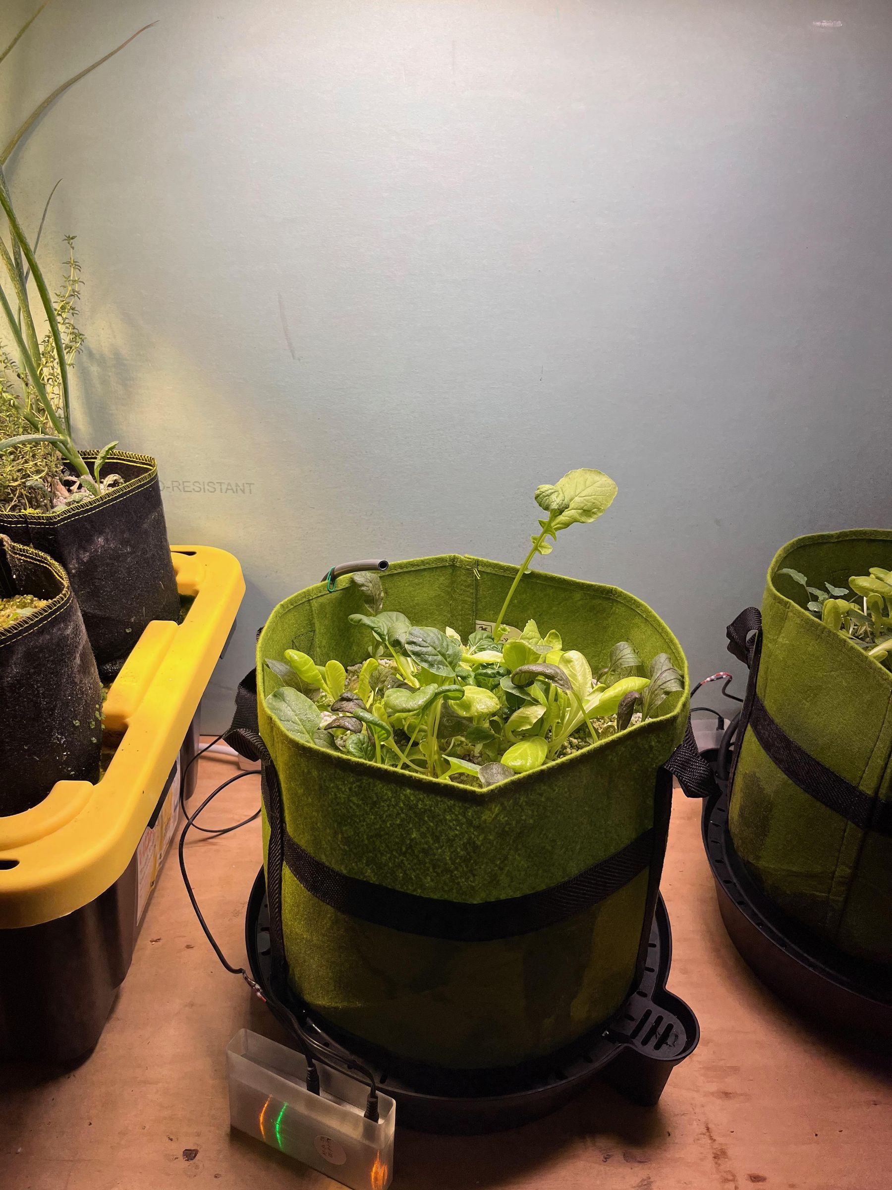 AC Inifinity Fabric Pot Base - Recirculating Hydroponic Upgrade : 11 ...