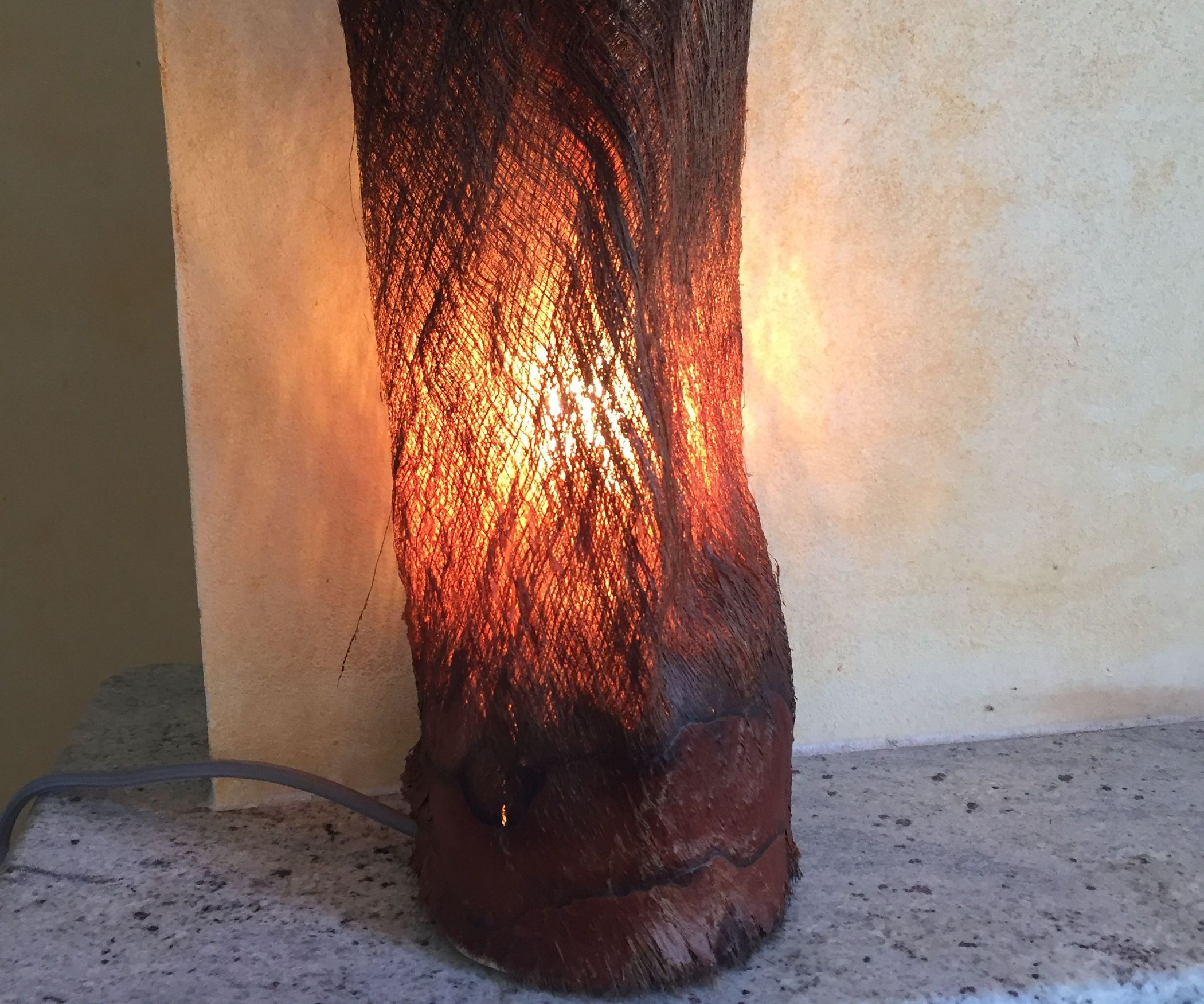 A Lamp Made With a Palm Tree Bark : 5 Steps (with Pictures) - Instructables