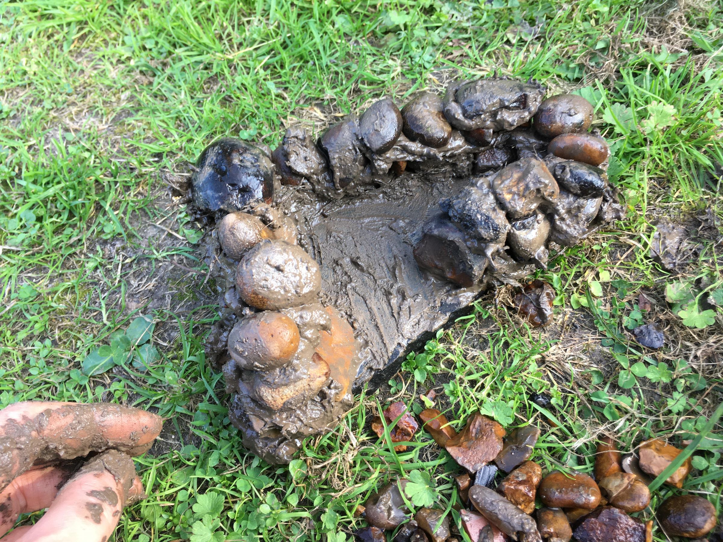 The River Clay Project - From Riverbed to Dining Table : 36 Steps (with ...