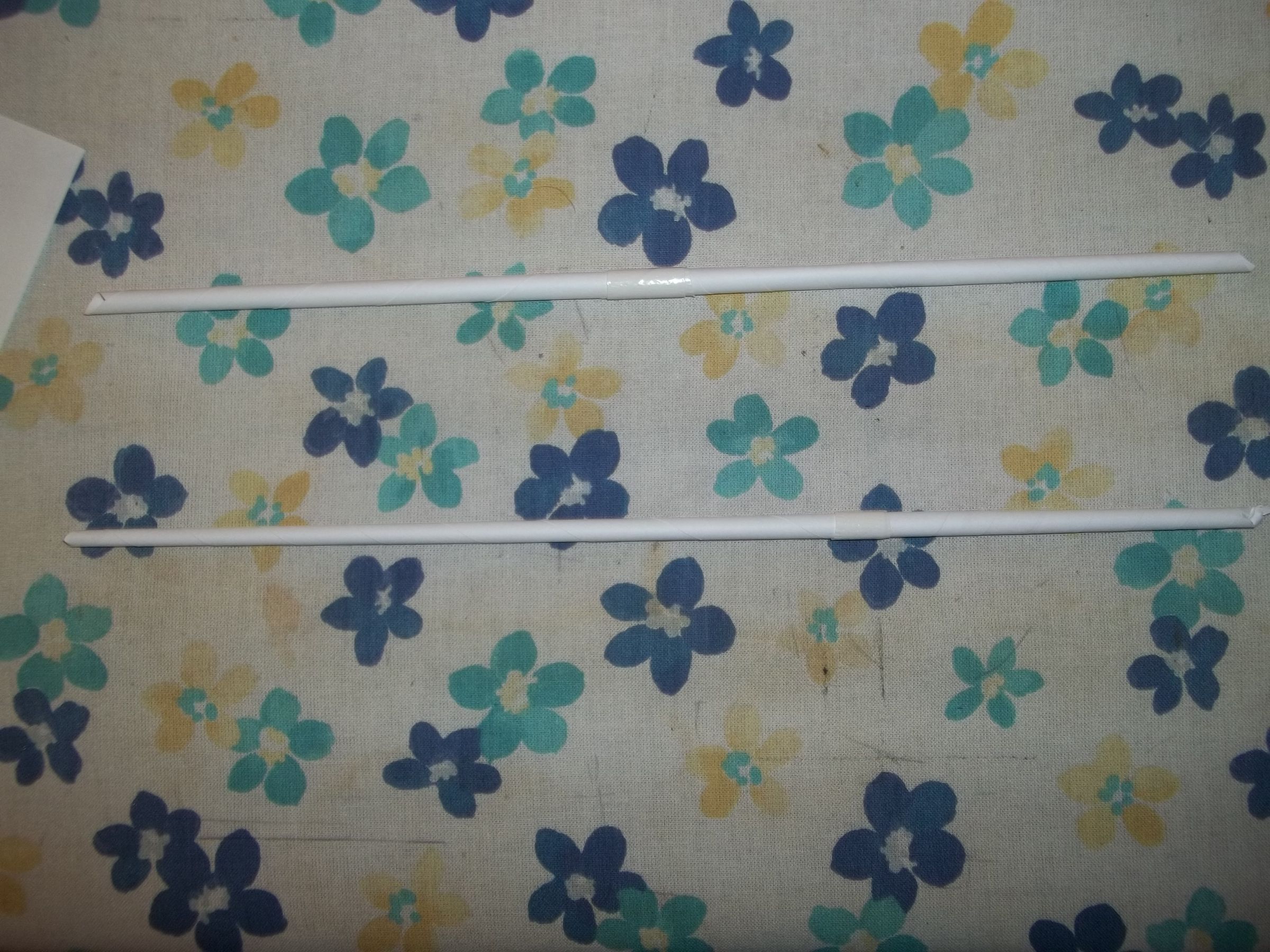 Model of the Human Skeleton : 4 Steps - Instructables