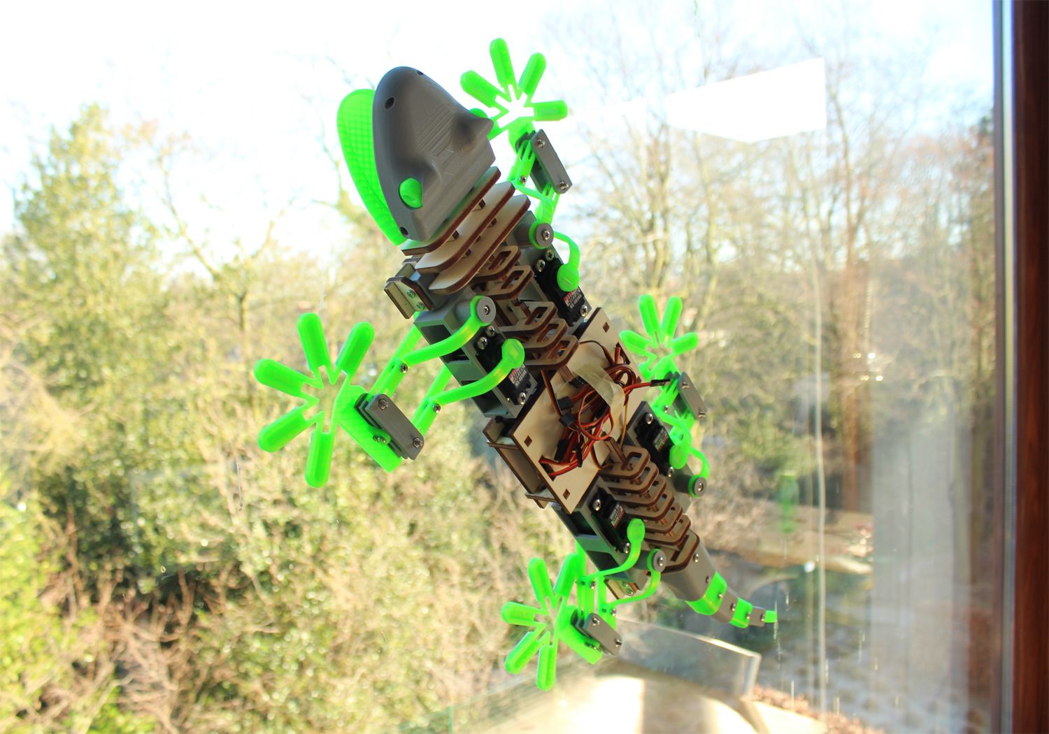 Bioinspired Wall Climbing Robot (Without Electronics, Not Finished) : 7 ...