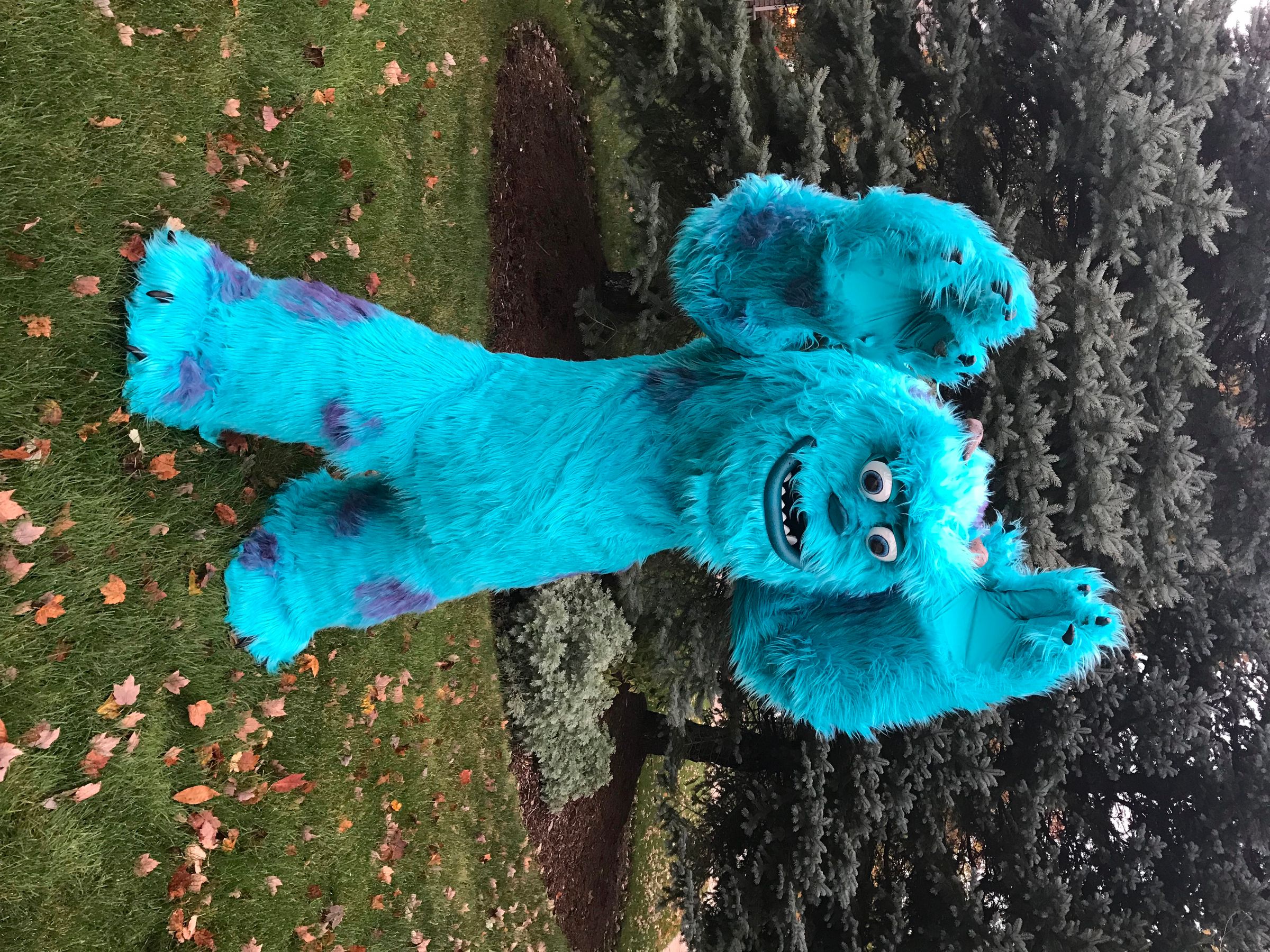 The Ultimate Sully Costume : 7 Steps (with Pictures) - Instructables
