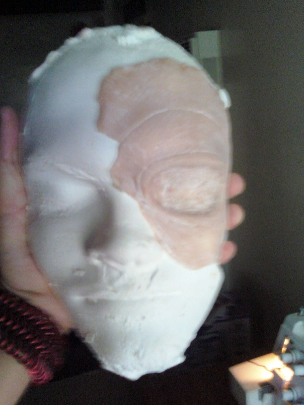 DIY Terminator Mask : 8 Steps - Instructables