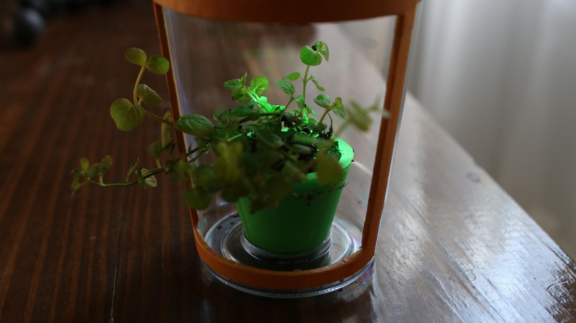 Plant Watering Cup : 9 Steps (with Pictures) - Instructables