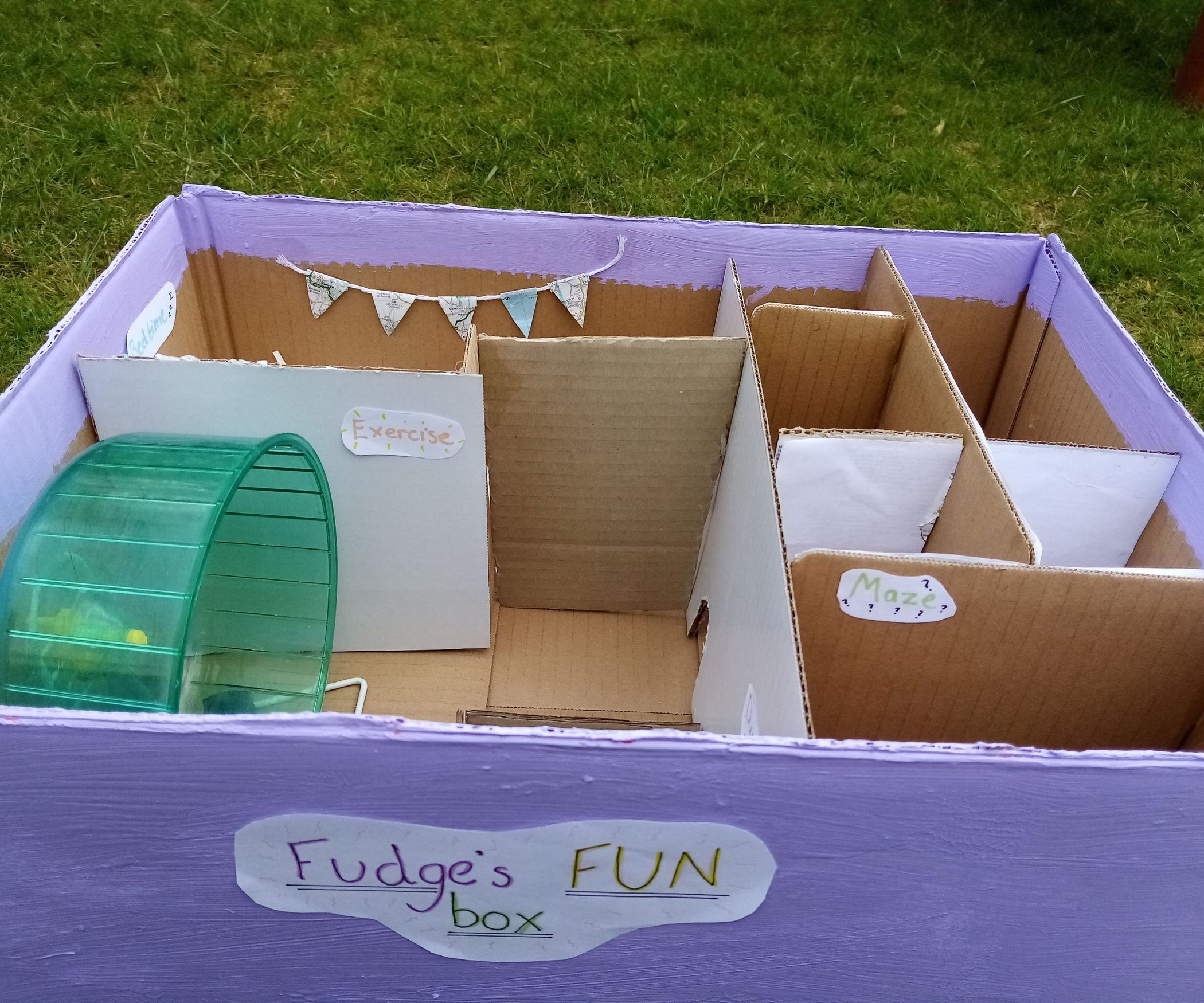 FUN Box for Small Animals : 8 Steps - Instructables