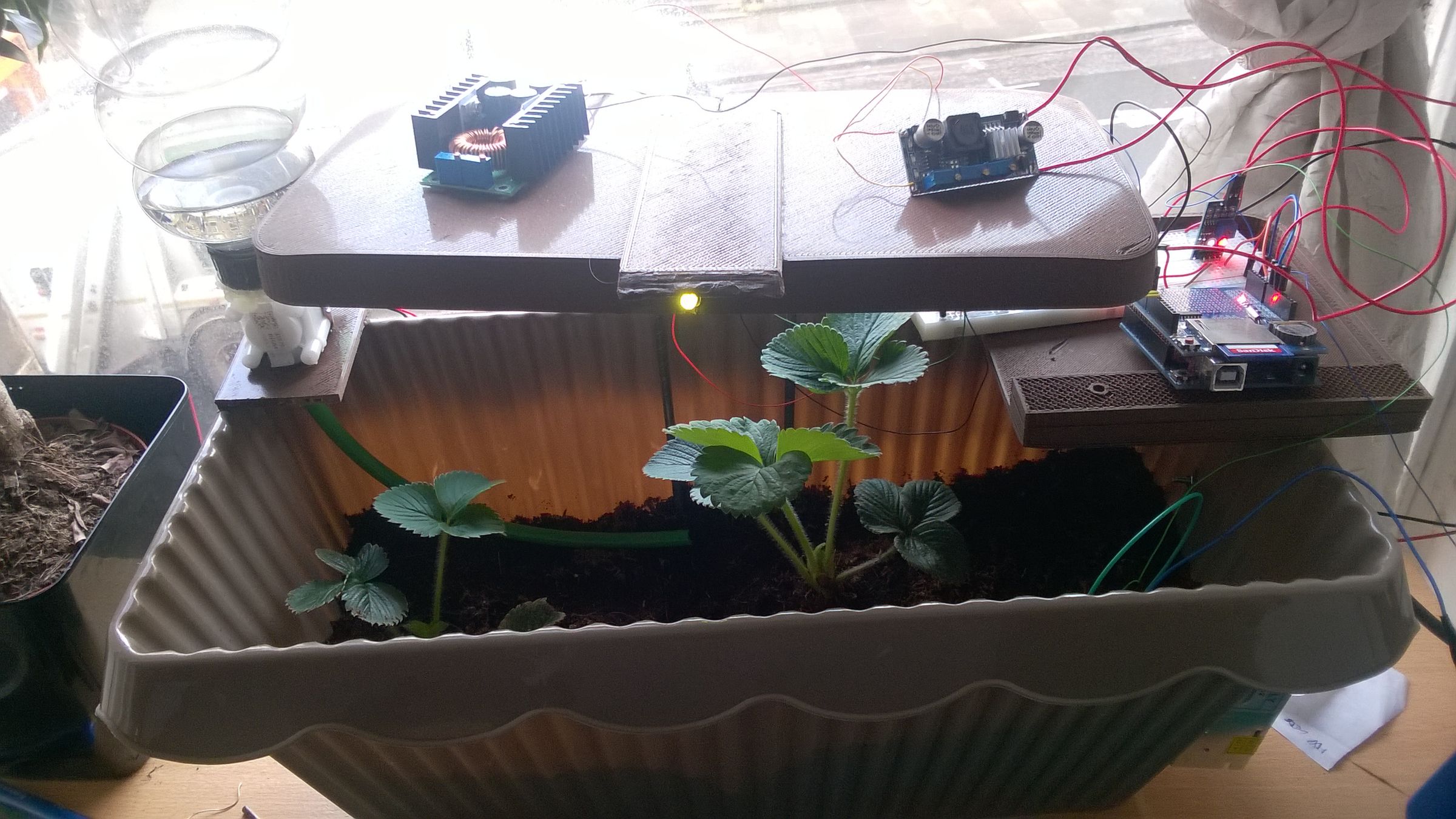 Automated Plants Watering and Lighting System : 7 Steps - Instructables
