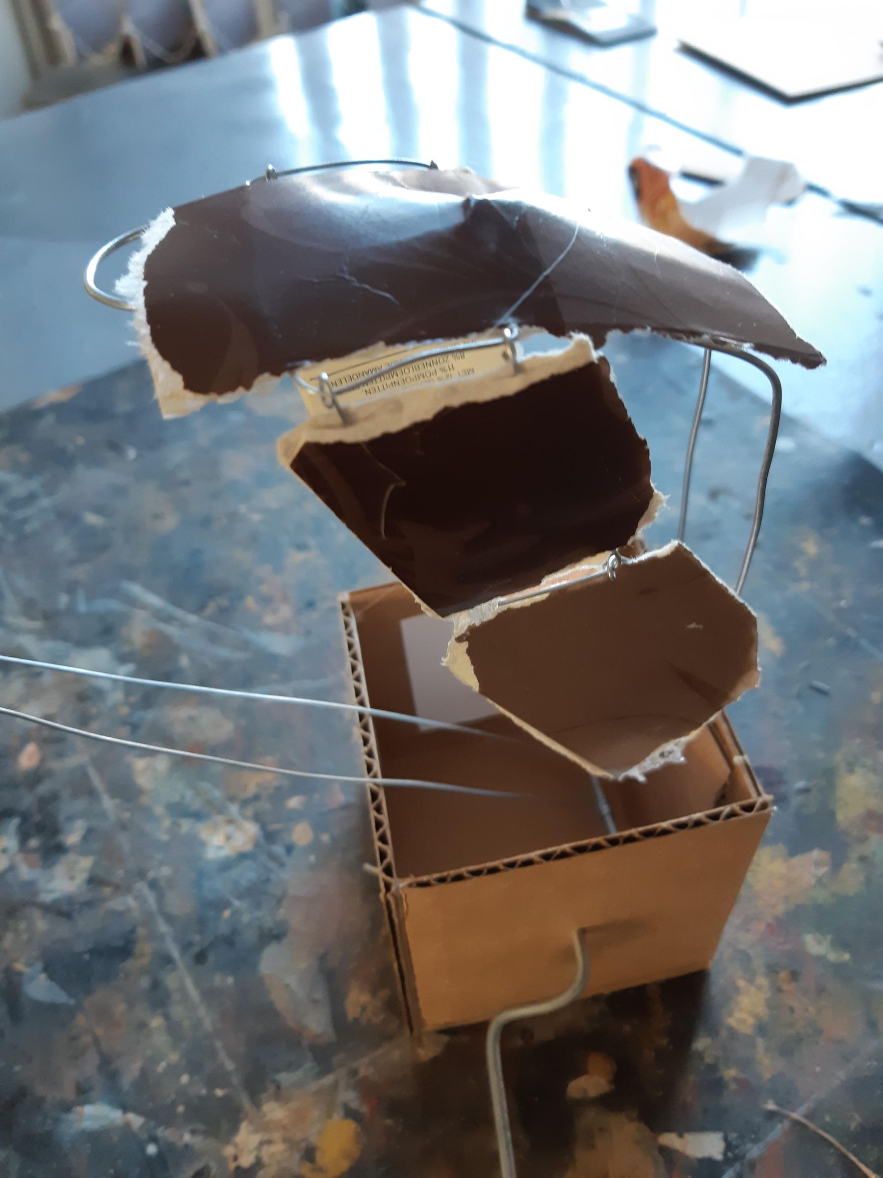 Bird Out of the Box : 10 Steps (with Pictures) - Instructables