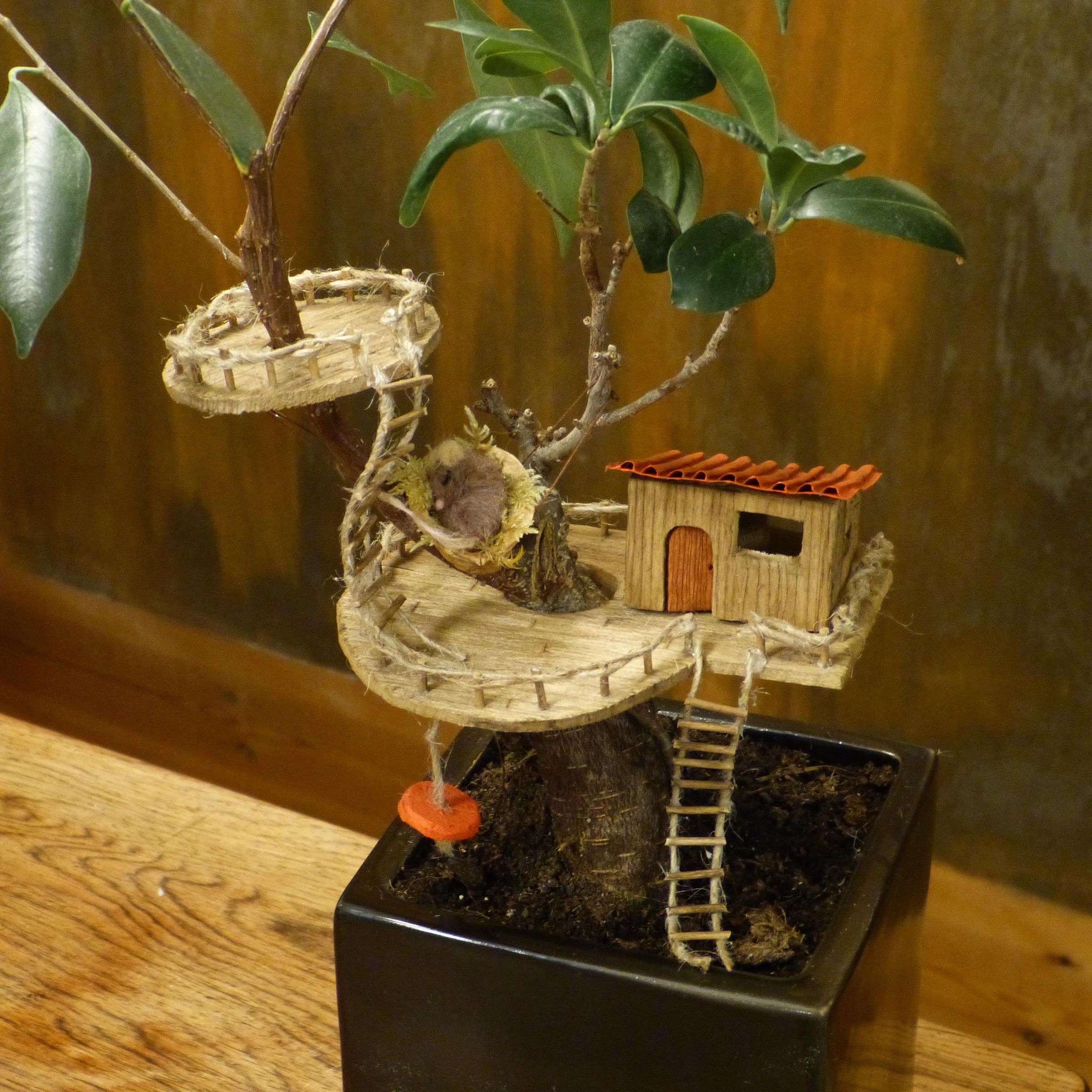 Houseplant Treehouse & Tiny Mouse : 15 Steps (with Pictures ...