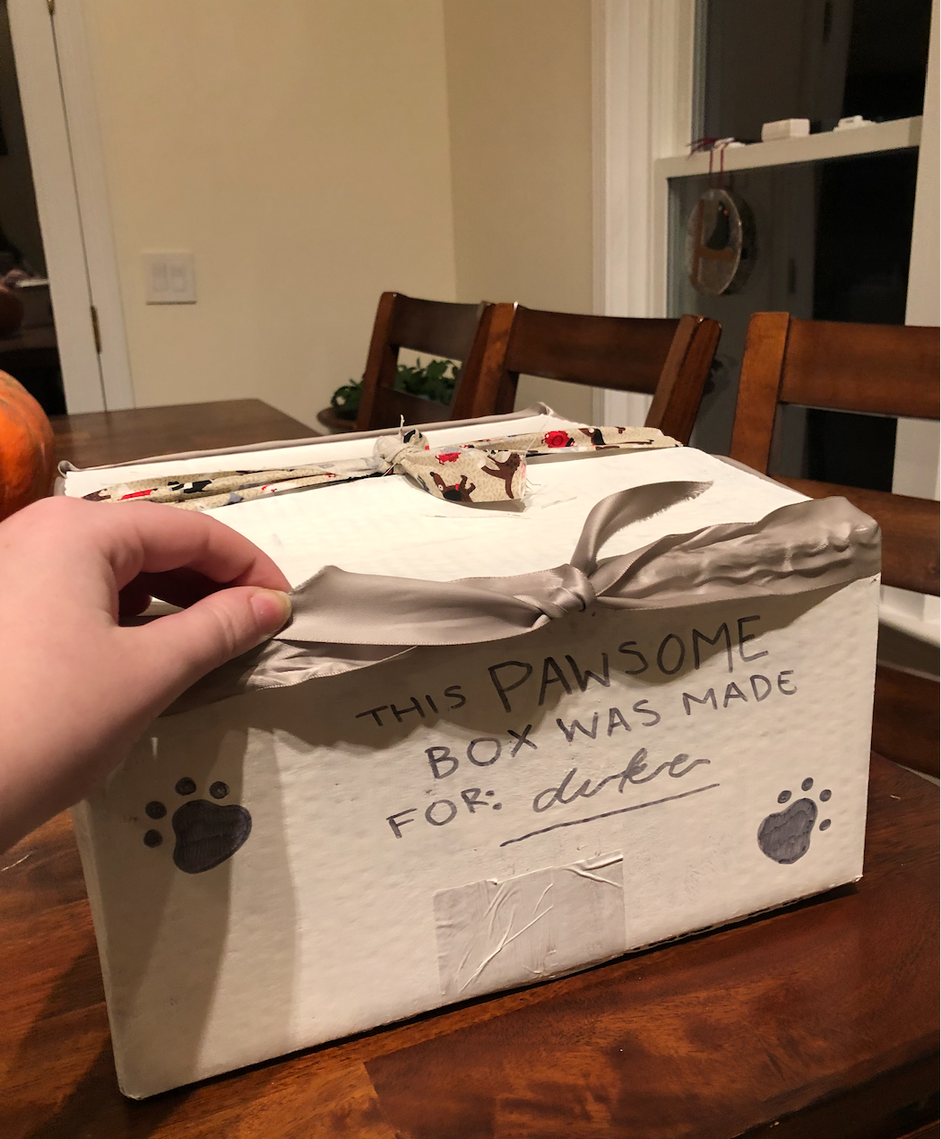 Customizable Doggy Care Kit : 7 Steps - Instructables