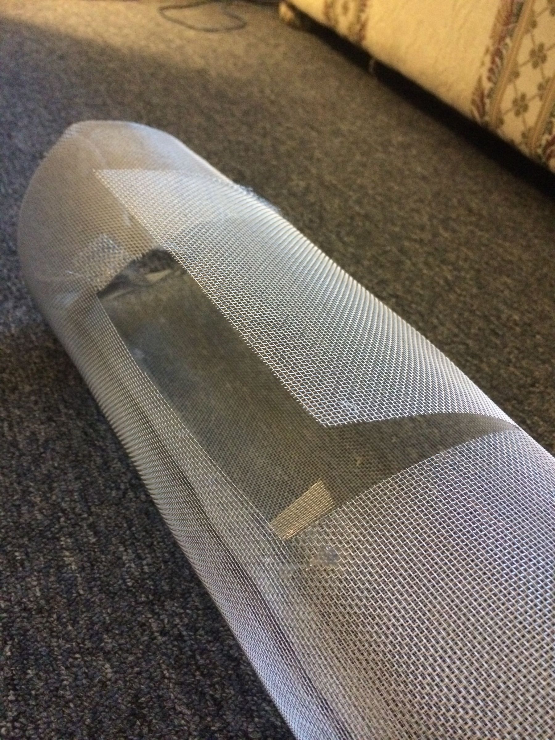 Cheap Simple Fish Trap : 5 Steps (with Pictures) - Instructables