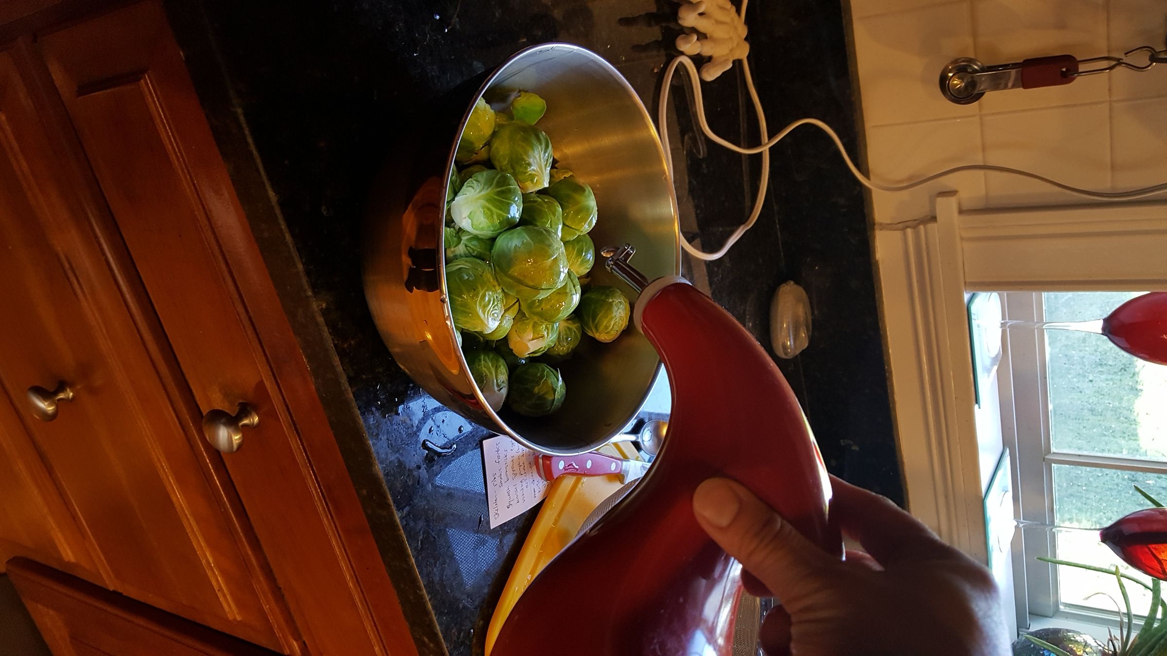 Evil Brussel Sprout Eyes for Halloween : 5 Steps (with Pictures ...