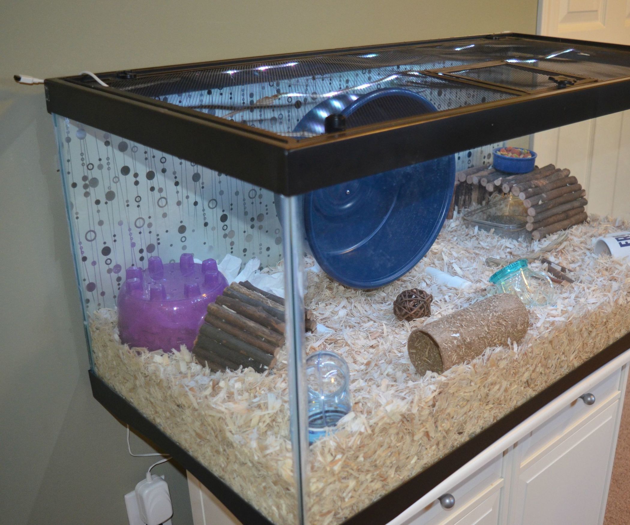 Hamster House : 3 Steps - Instructables