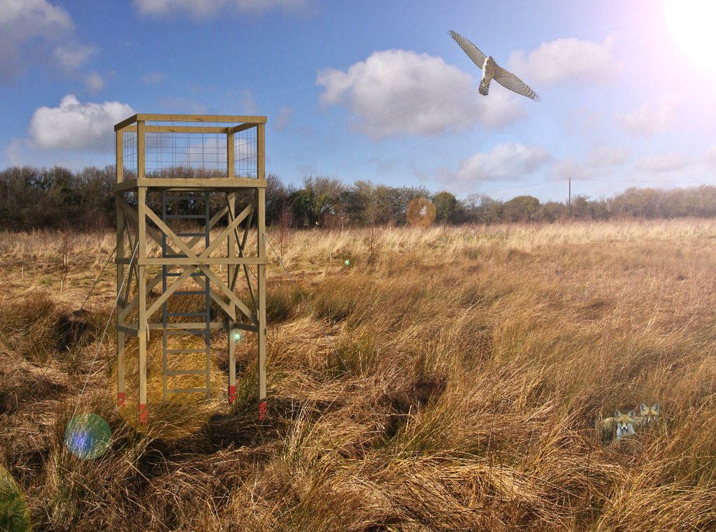 Wildlife Observation Tower : 16 Steps - Instructables