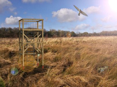 Wildlife Observation Tower : 16 Steps - Instructables