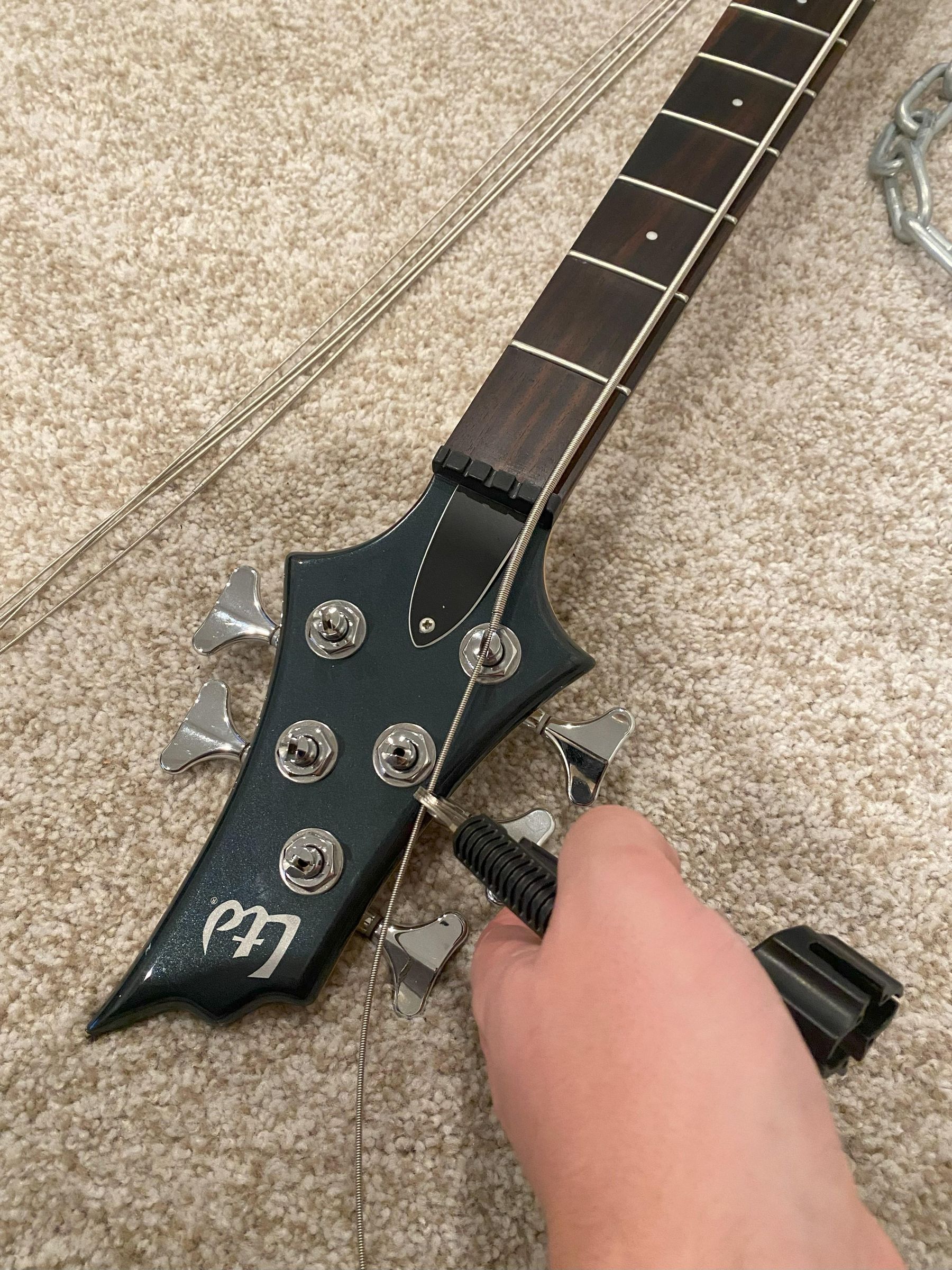 Bass Care 101: the Complete Guide to Basic Bass Care and Maintenance ...