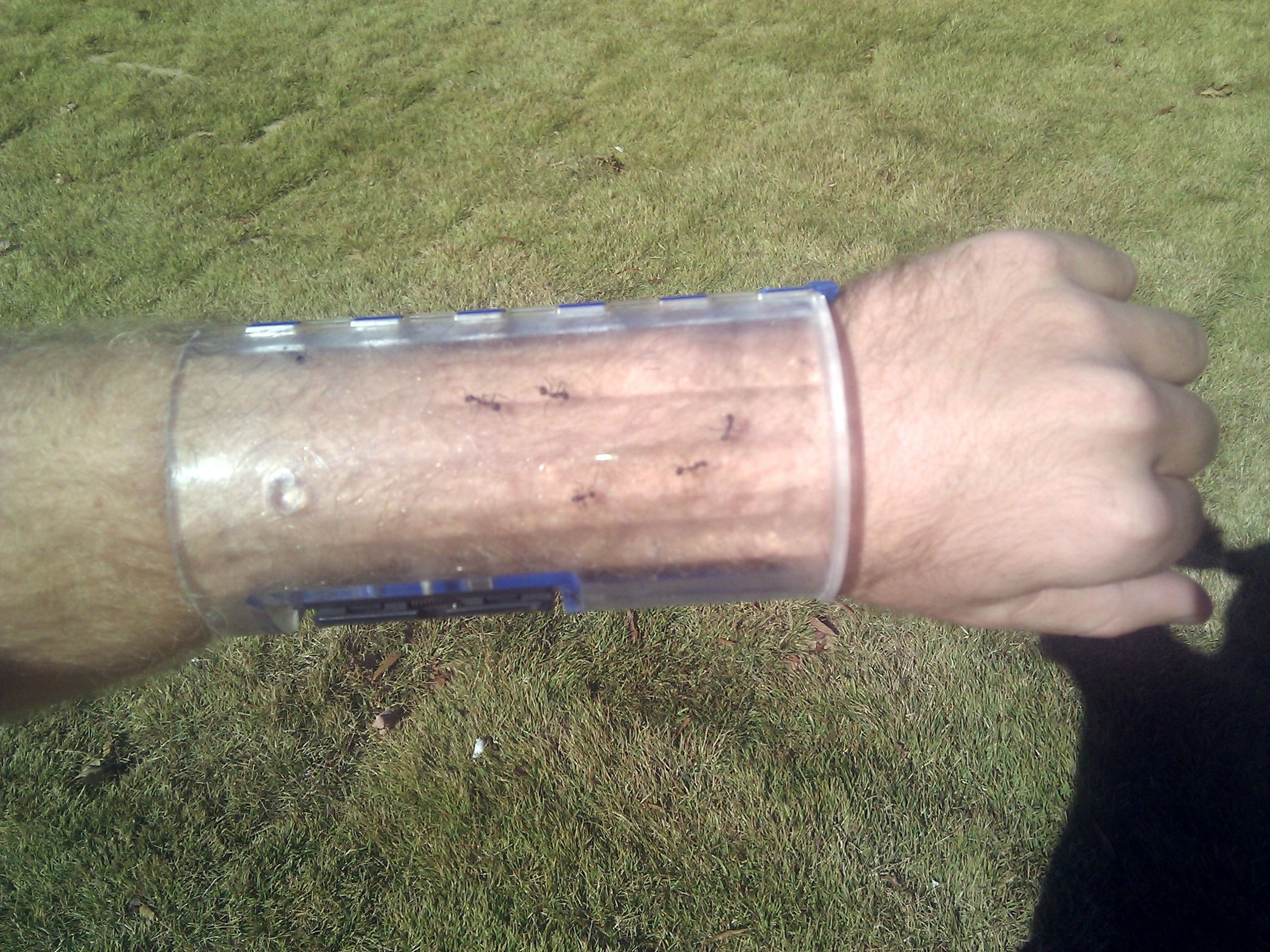 "Arm-y" Ant Farm V1.0 - Stay in Touch With Your Colony : 6 Steps (with ...