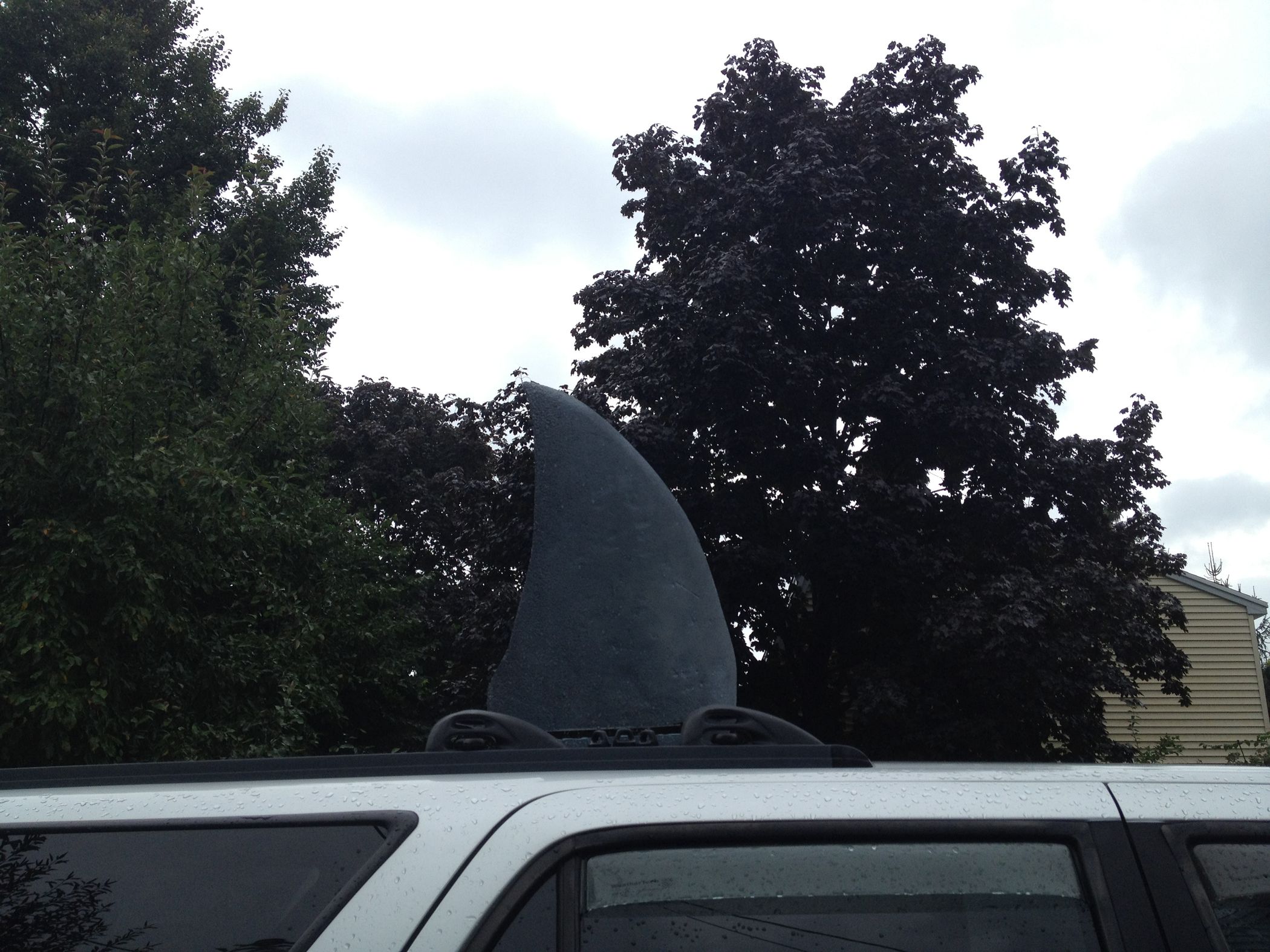 Shark Fin for Shark Week! : 5 Steps (with Pictures) - Instructables