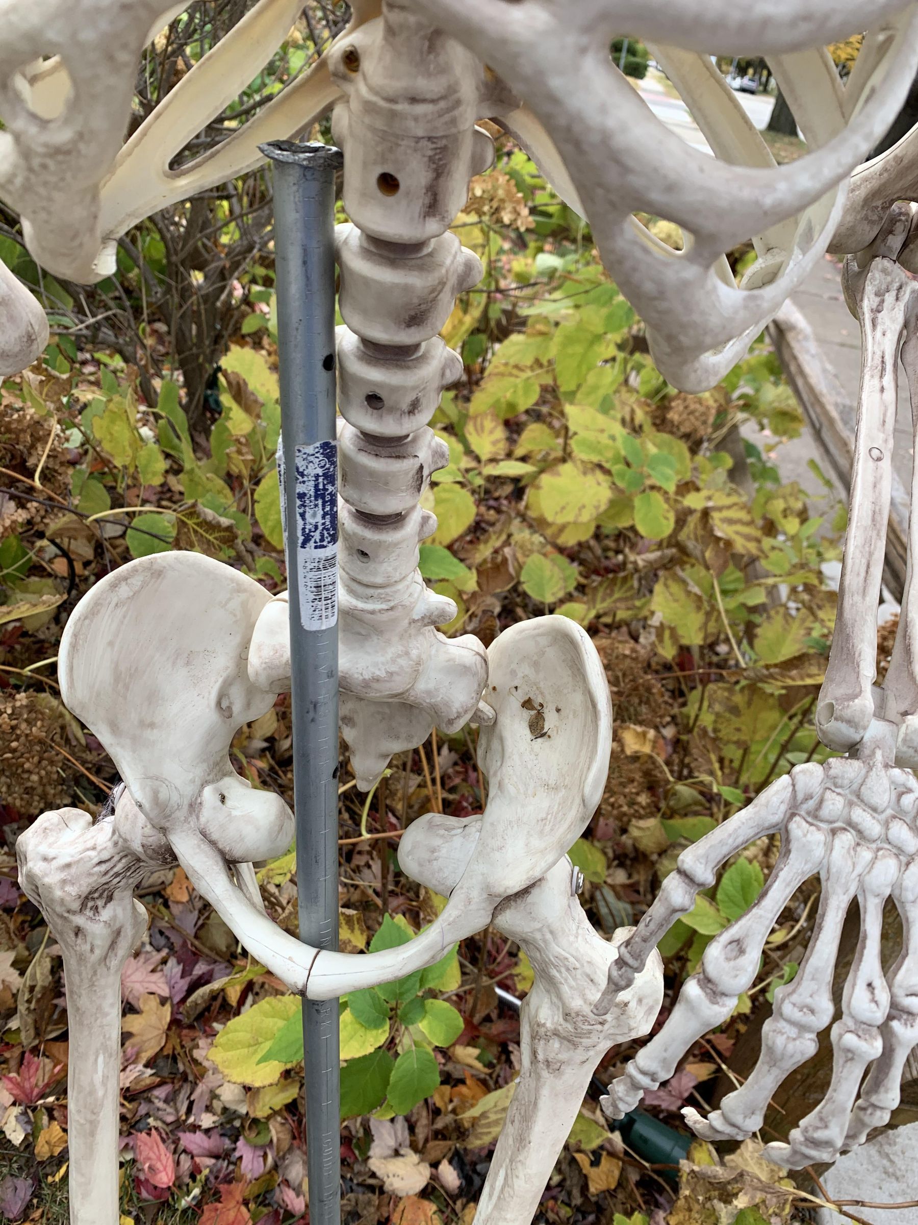 Skeleton Tea Party Decorations : 7 Steps (with Pictures) - Instructables