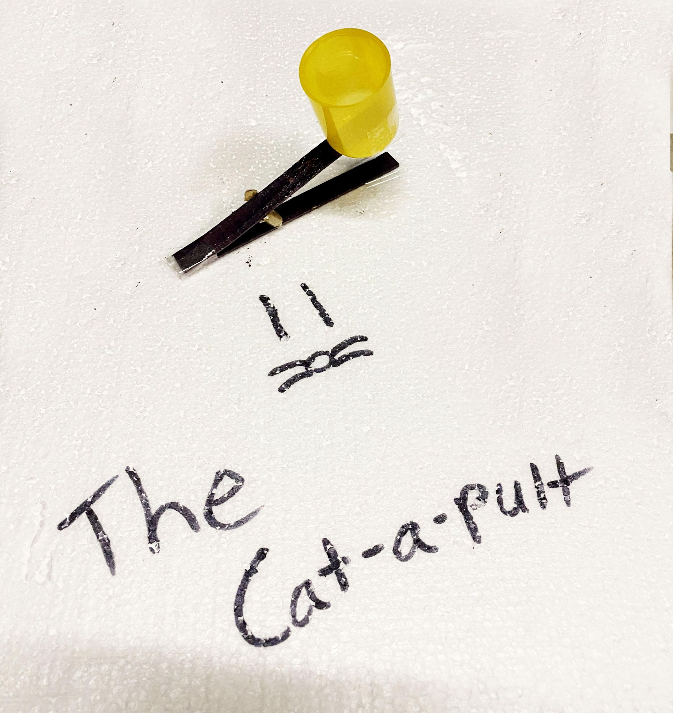 Cat-A-Pult (Easy) : 4 Steps - Instructables