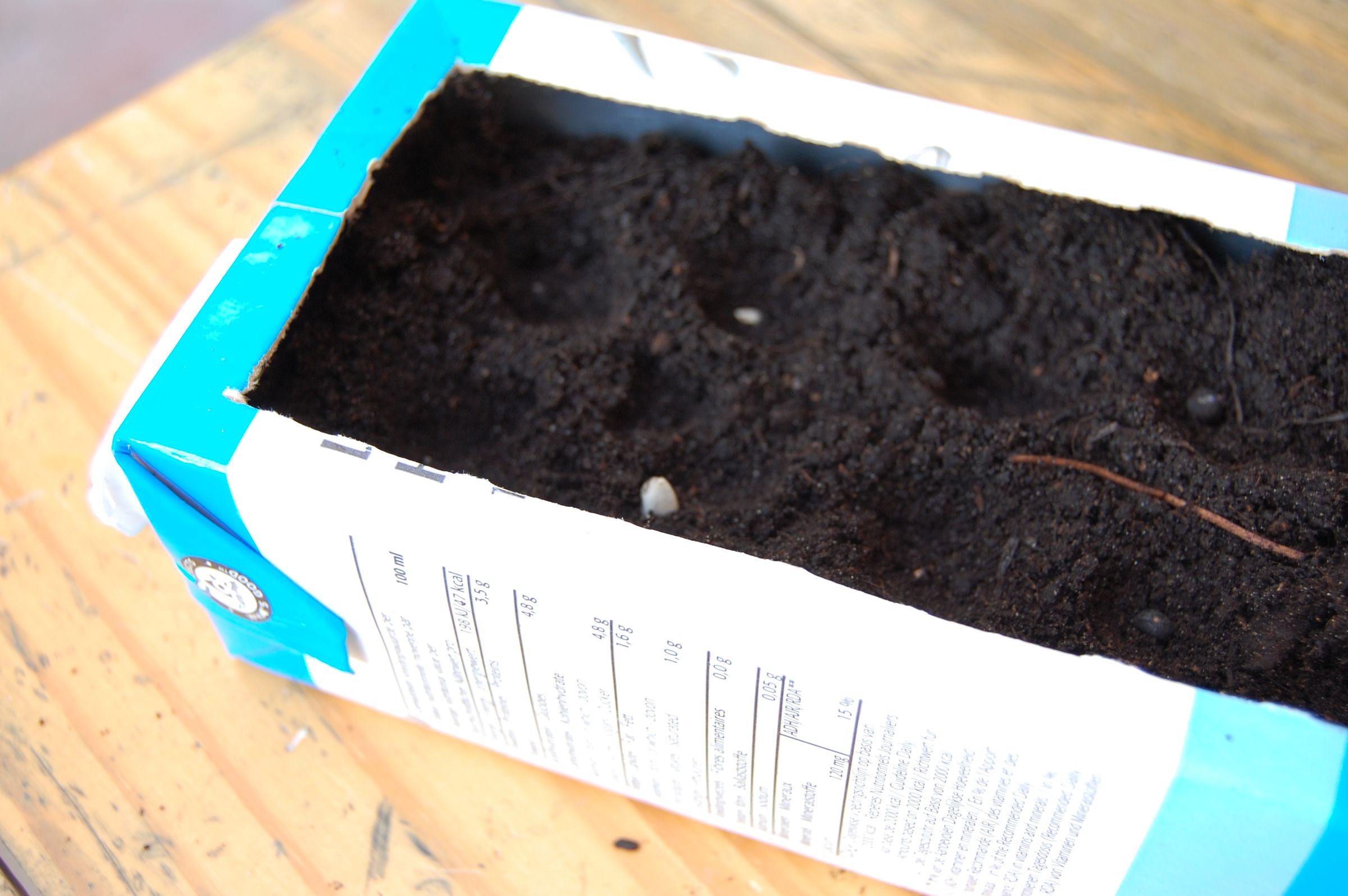 Milk Carton Seedling Container : 3 Steps - Instructables