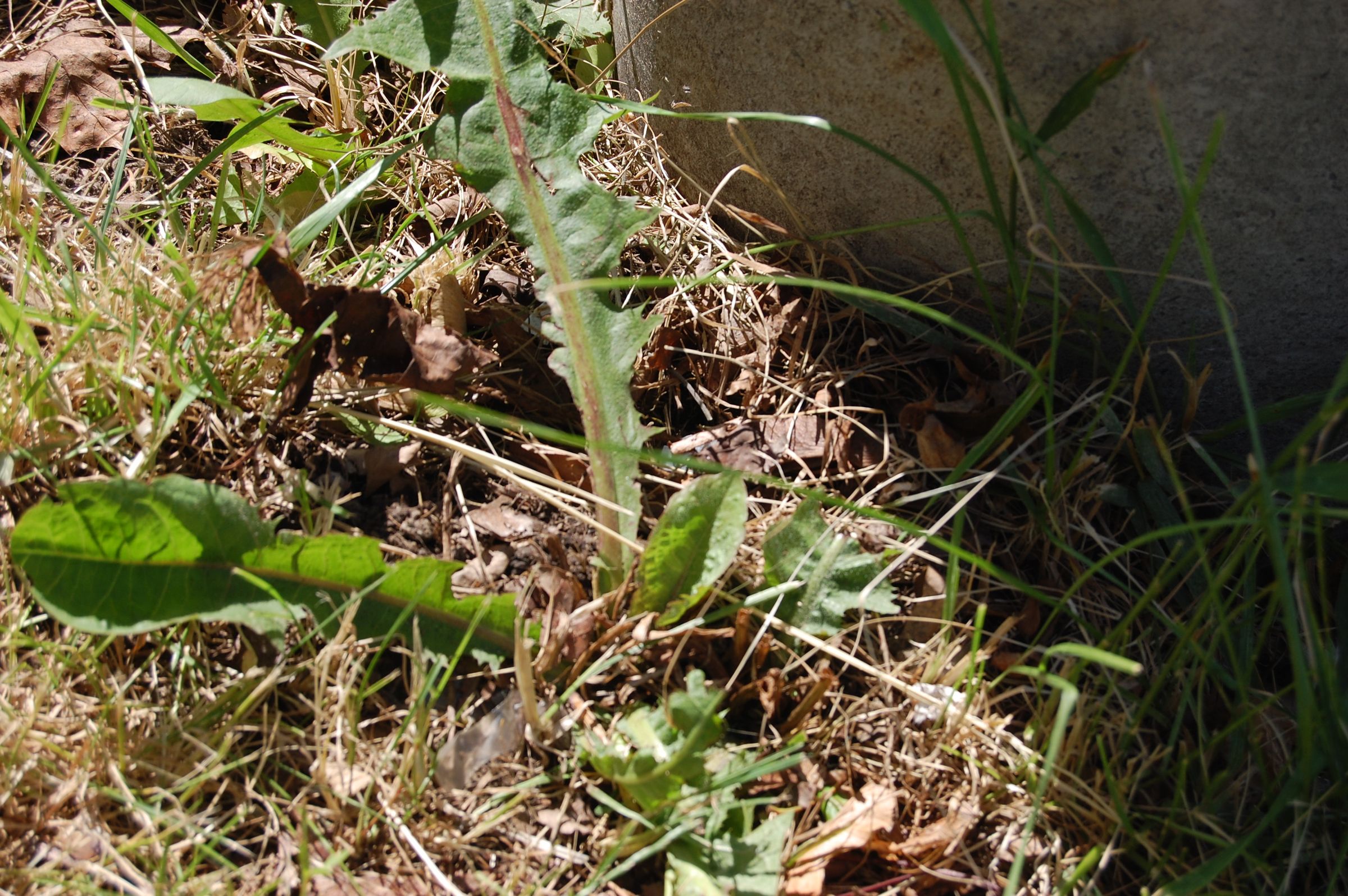 Dead Drop Spike V.2 : 7 Steps (with Pictures) - Instructables