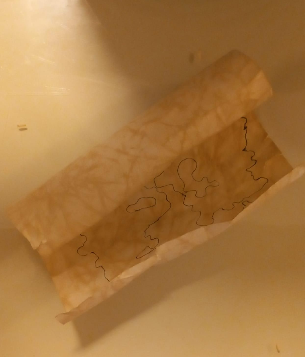 Paper Parchment - Antique Map : 9 Steps - Instructables
