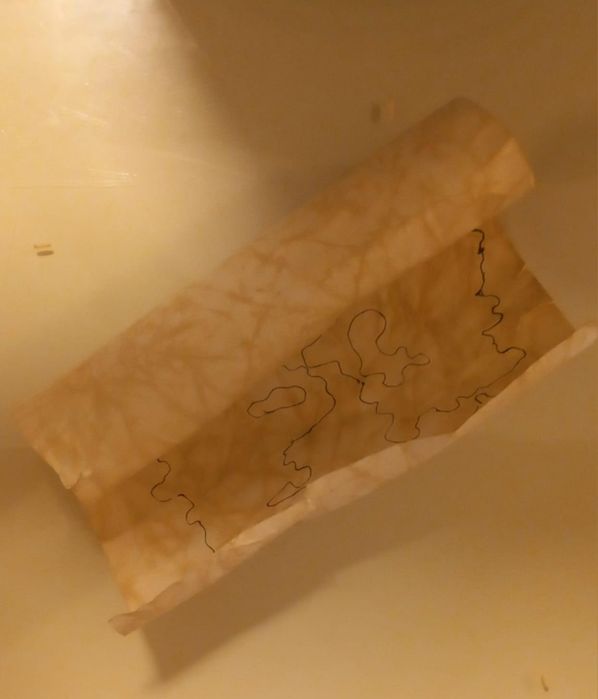 Paper Parchment - Antique Map : 9 Steps - Instructables