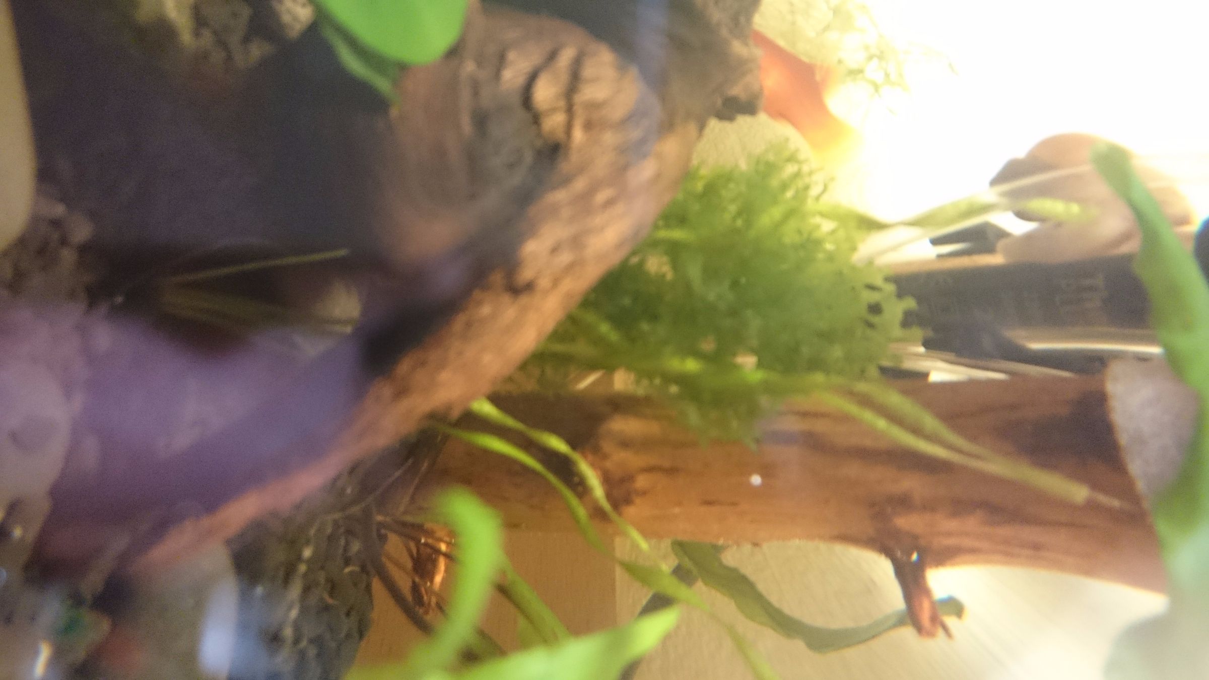 Aquarium Filter- Decor - Instructables