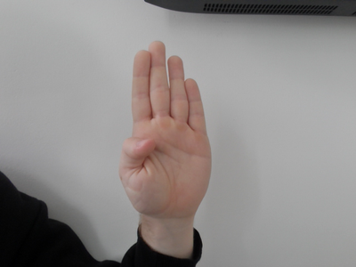 Sign Language Translator : 8 Steps (with Pictures) - Instructables