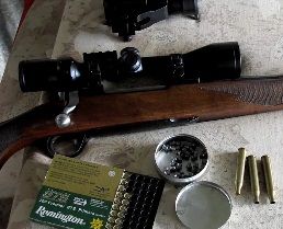 How to Hunt With an Airgun Pellet From a Centerfire Rifle - Instructables