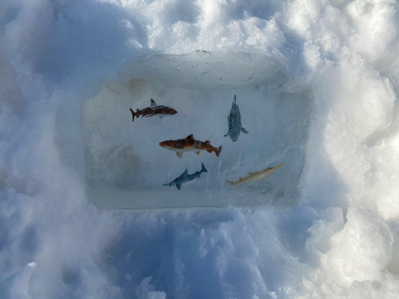 How to Make Large Blocks of Clear Ice for Sculpting and Drink Making ...